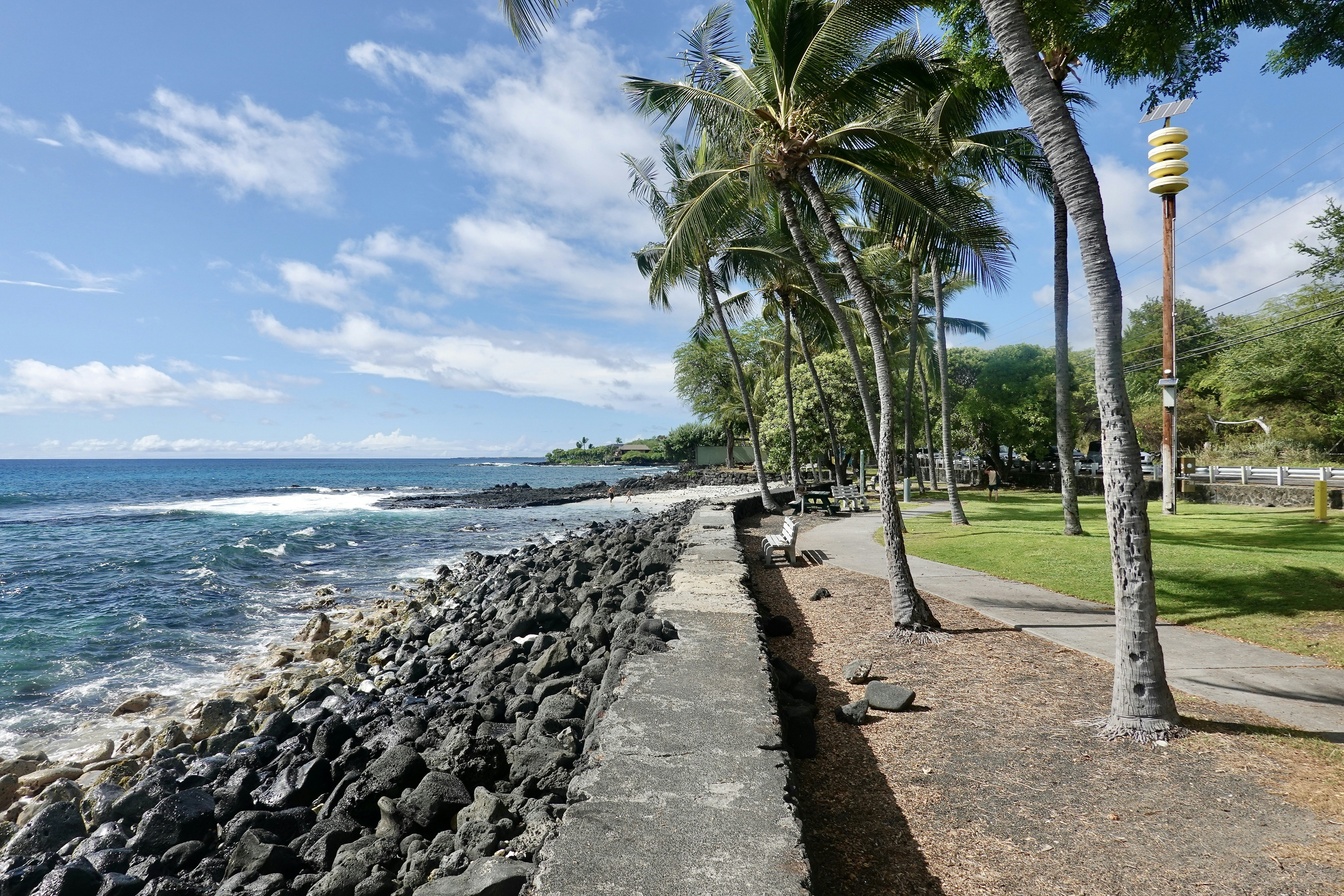 Palm-Lined Coastal Promenade by a Rocky Breakwater