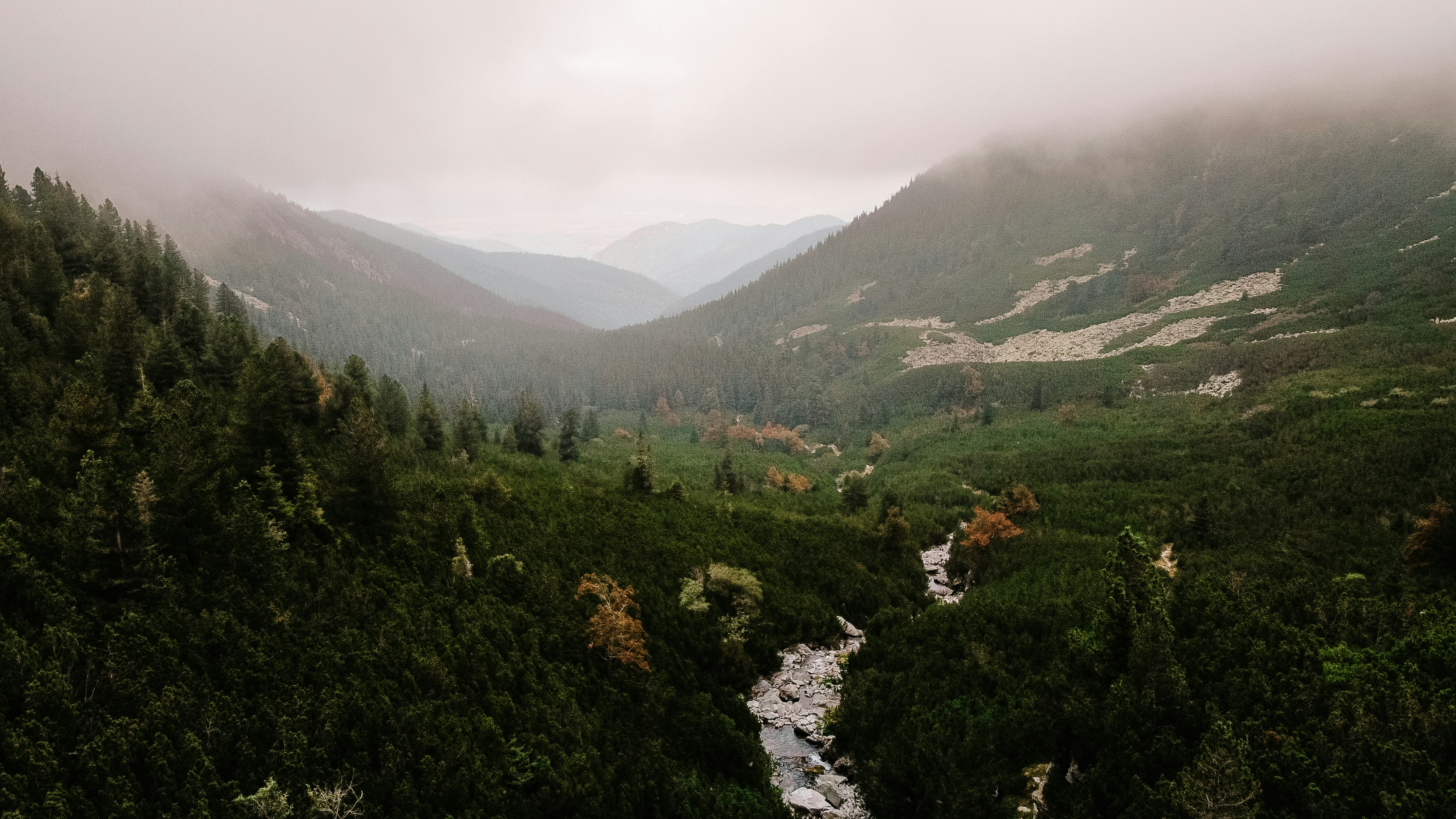 green trees on mountain under white sky during daytime