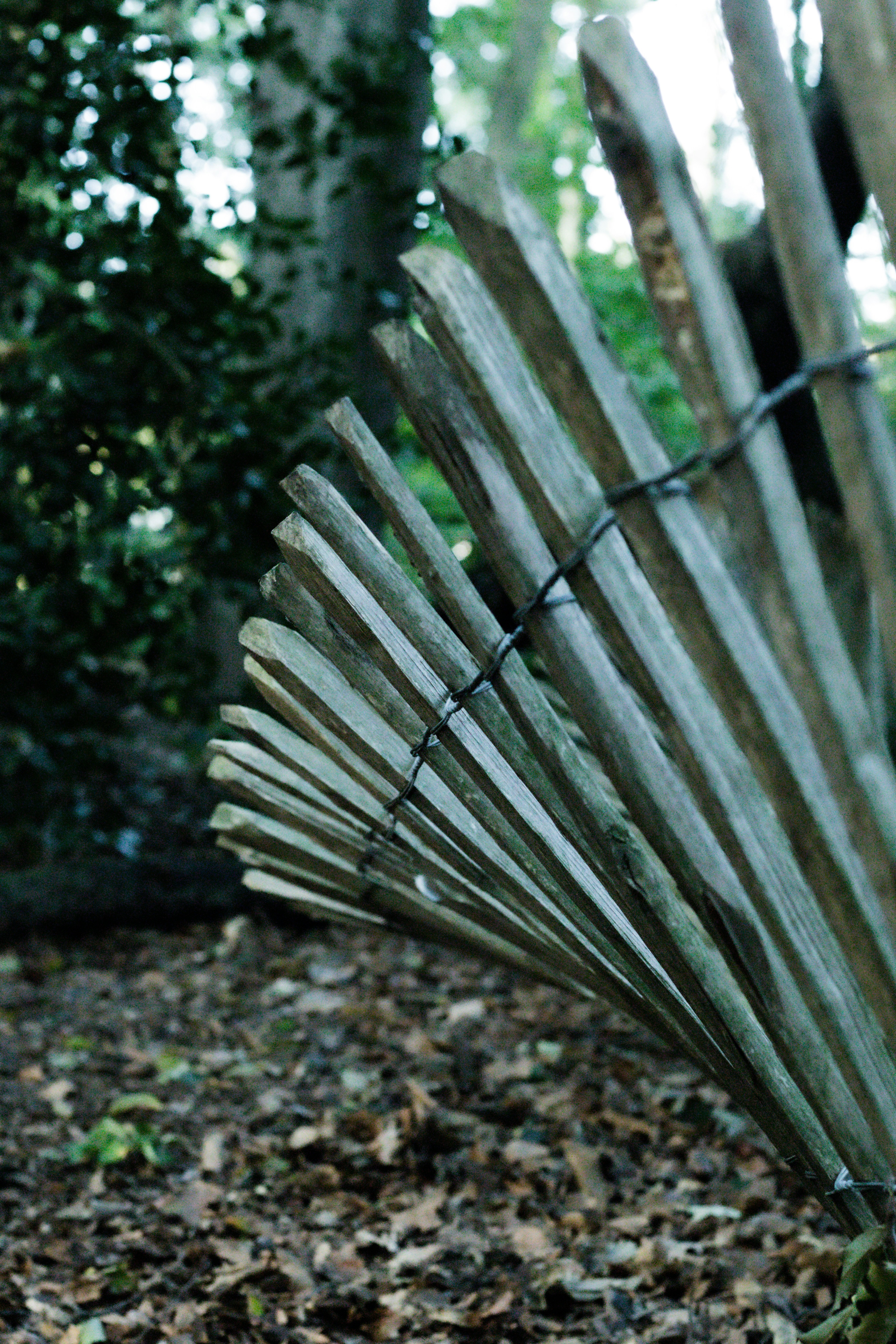 The Human Design Projector Paradox