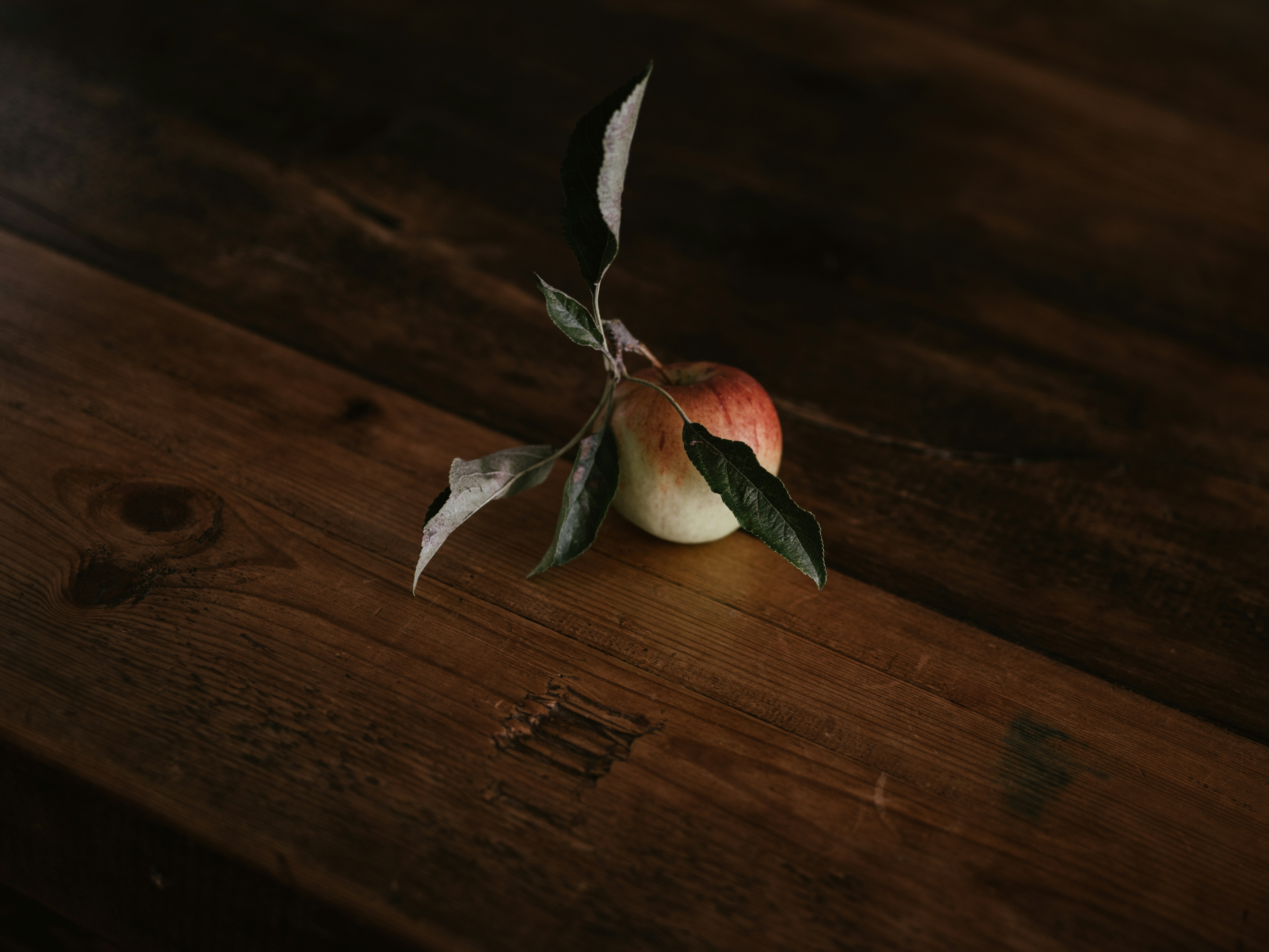 Single Peach, Quiet Light: A Still Life on Weathered Wood
