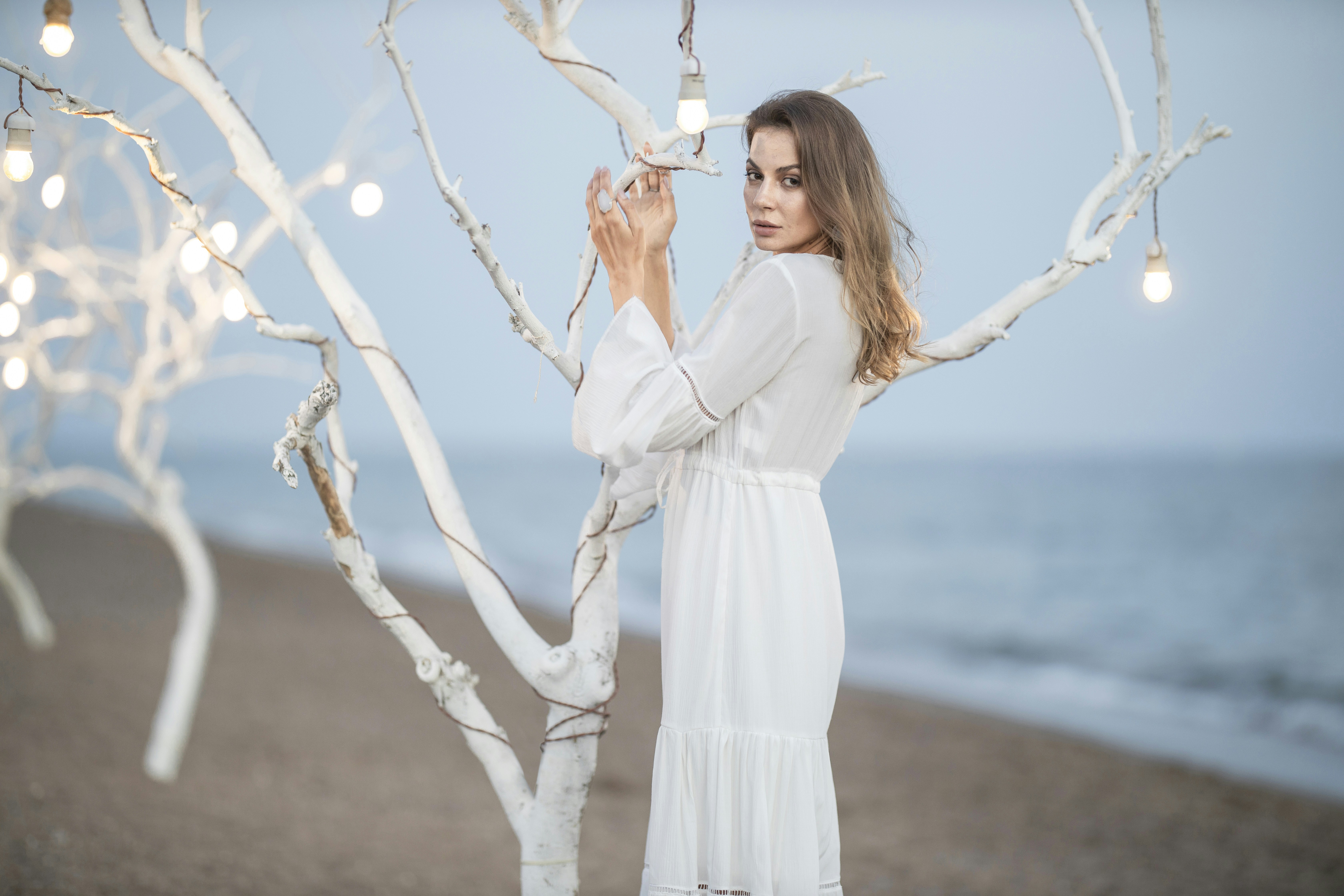 Whispers of Light: A White-Tree Portrait by the Sea