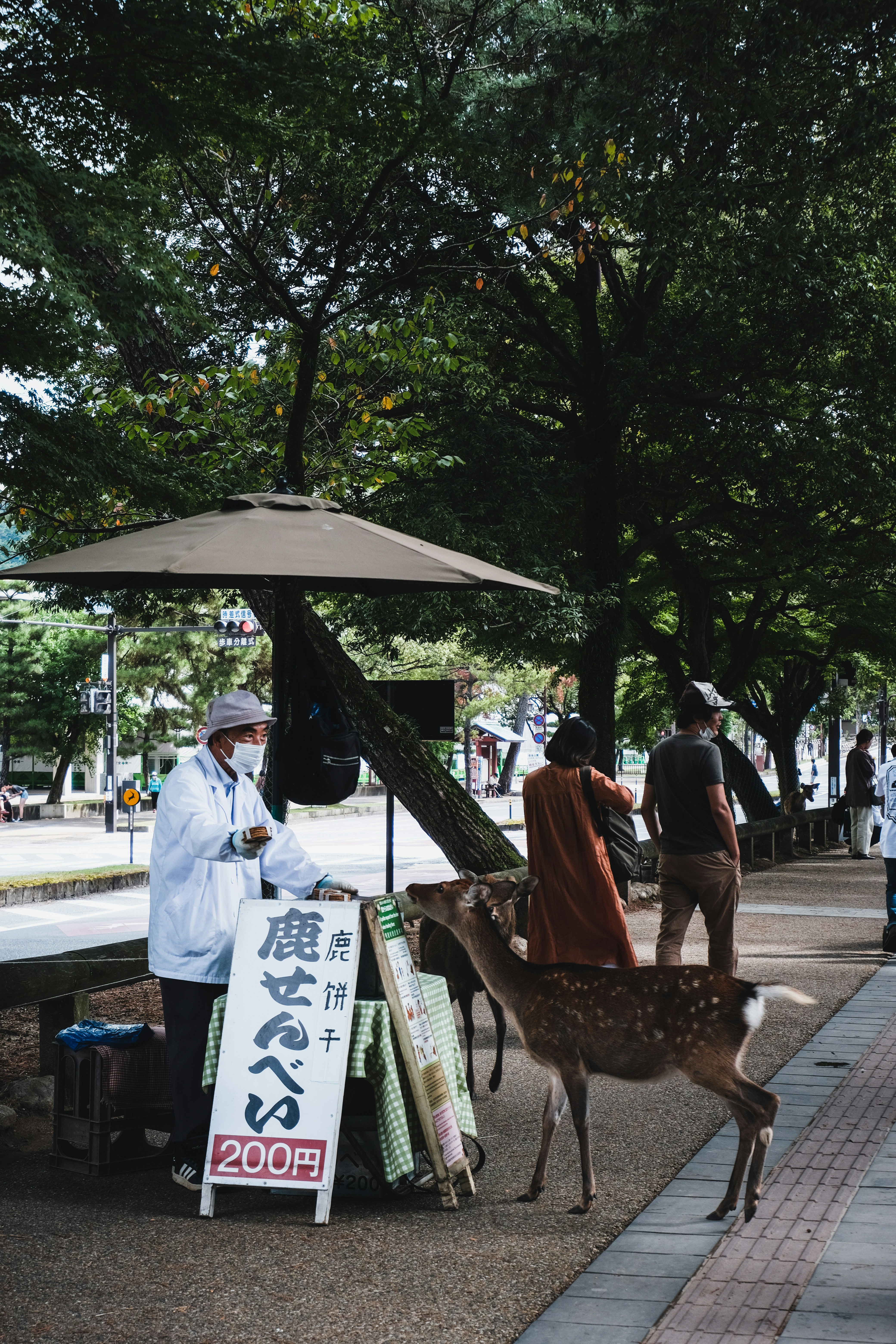 Japan Nara by lu.xish 

Follow my Instagram @lu.xish | people standing near white and green canopy tent during daytime