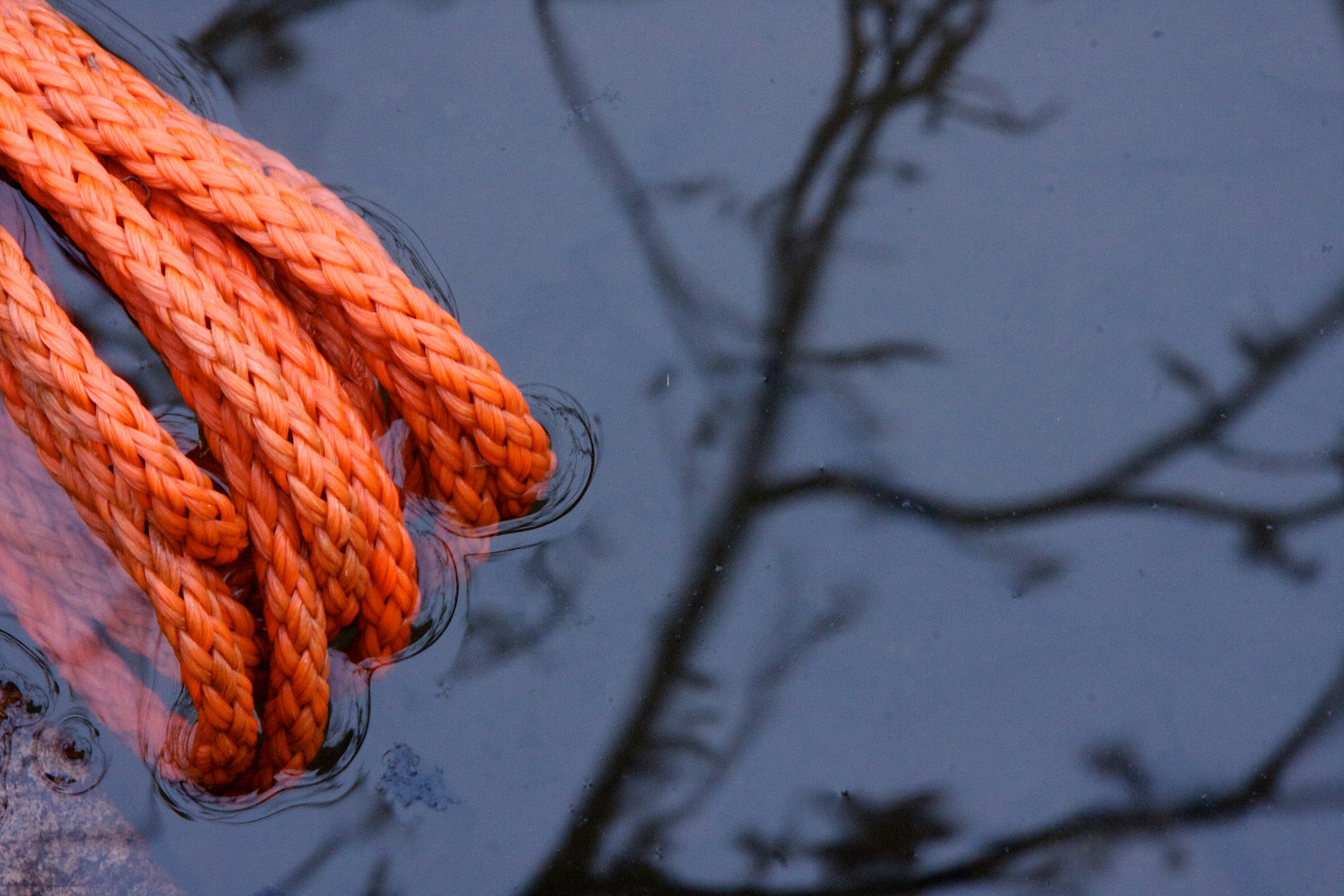 Braided Orange Rope Framed by Reflections on a Quiet Pond