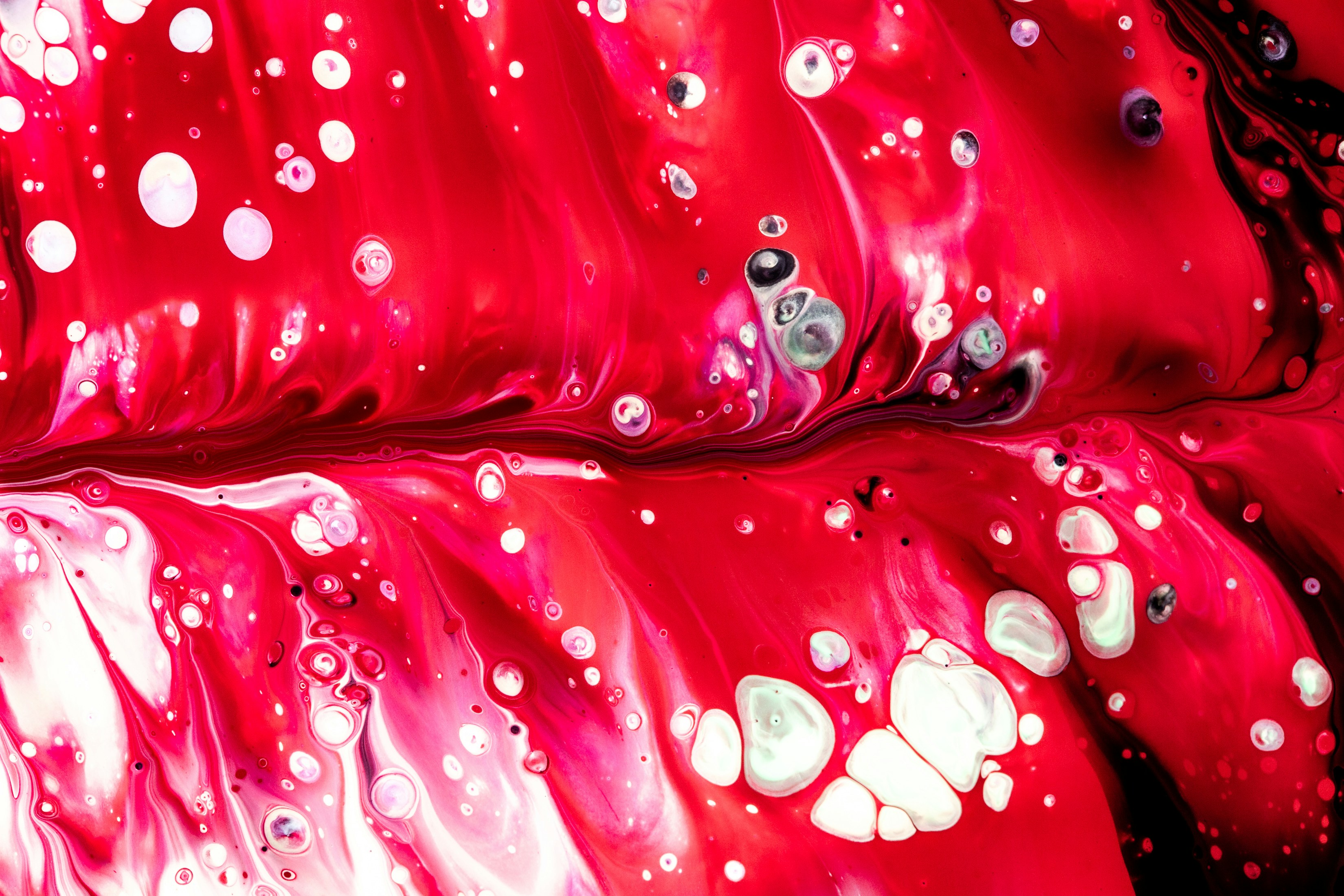 Pink petals with water droplets photo – Free Texture Image on Unsplash