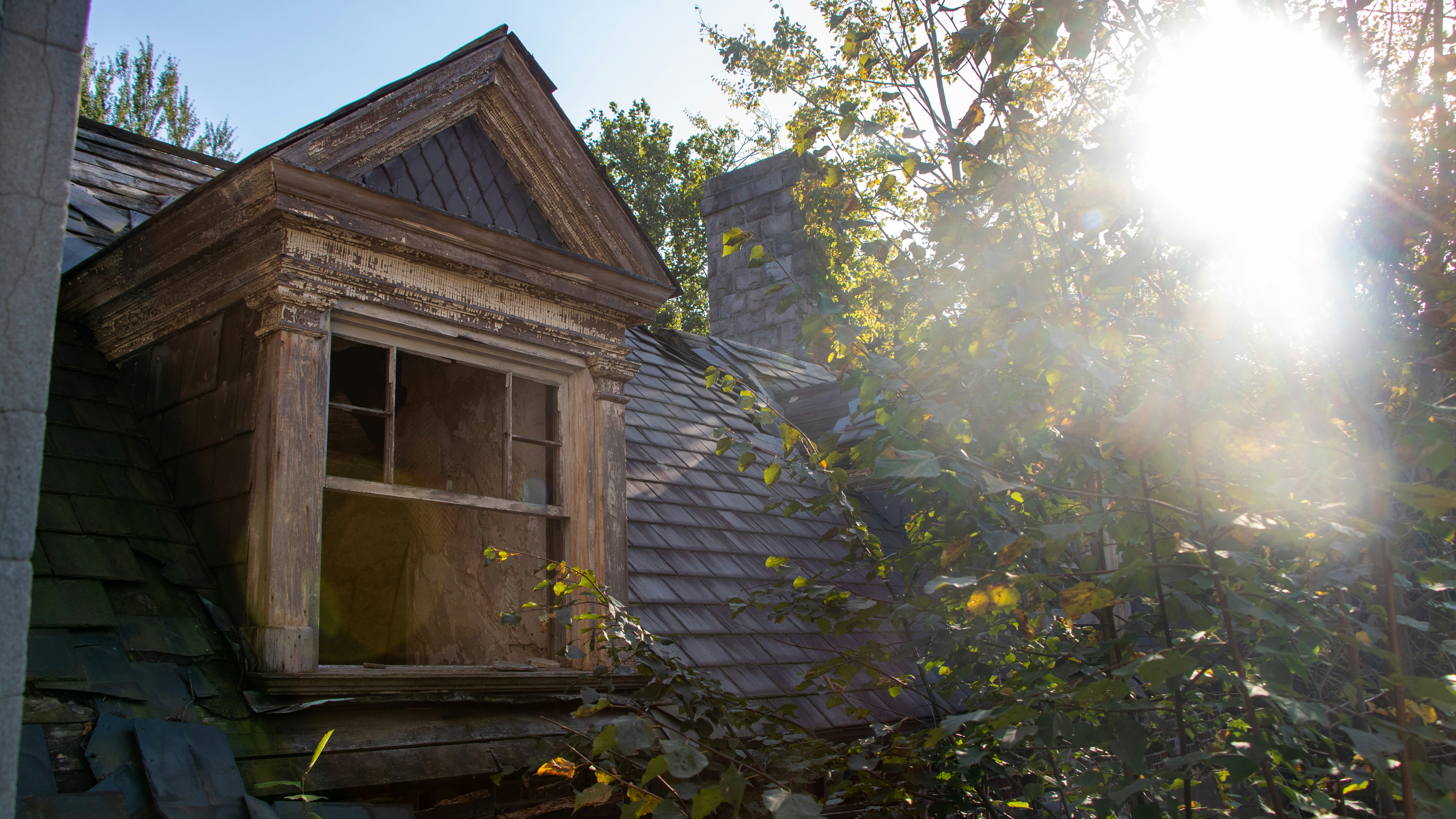 Decaying attic window framed by overgrown foliage, capturing the essence of abandonment and nature's reclaiming touch.