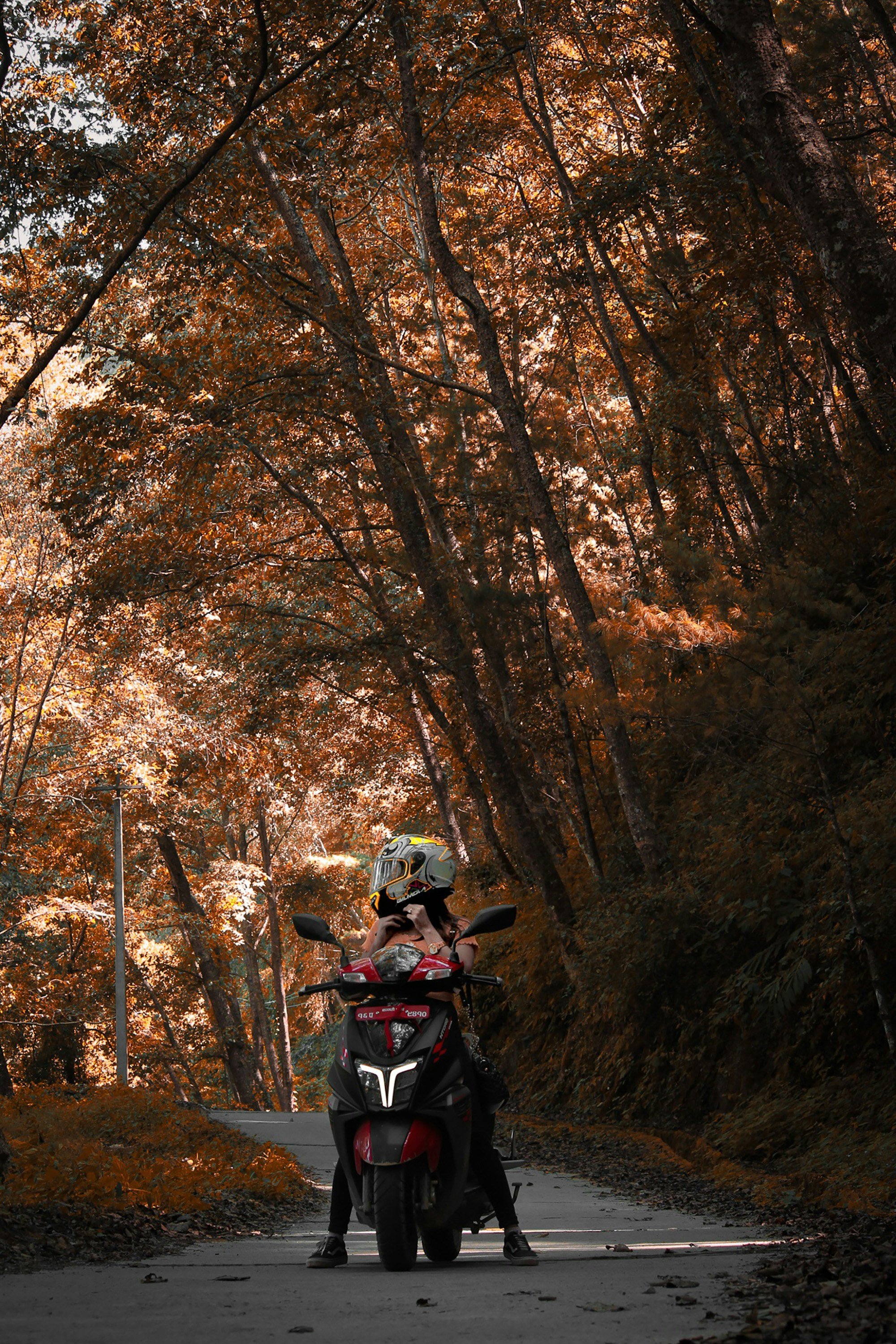 Autumn Lane Pause: A Rider on a Crimson Scooter Beneath Amber Canopy