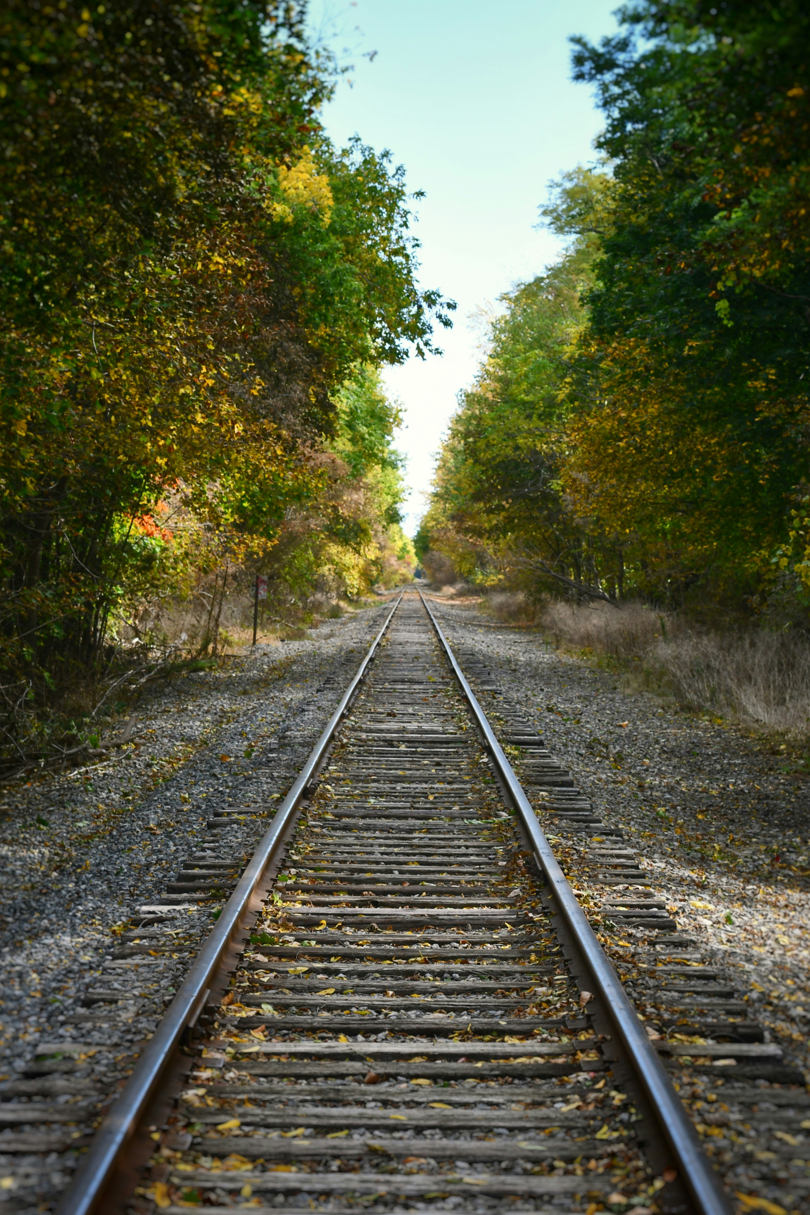 Straight Train Track