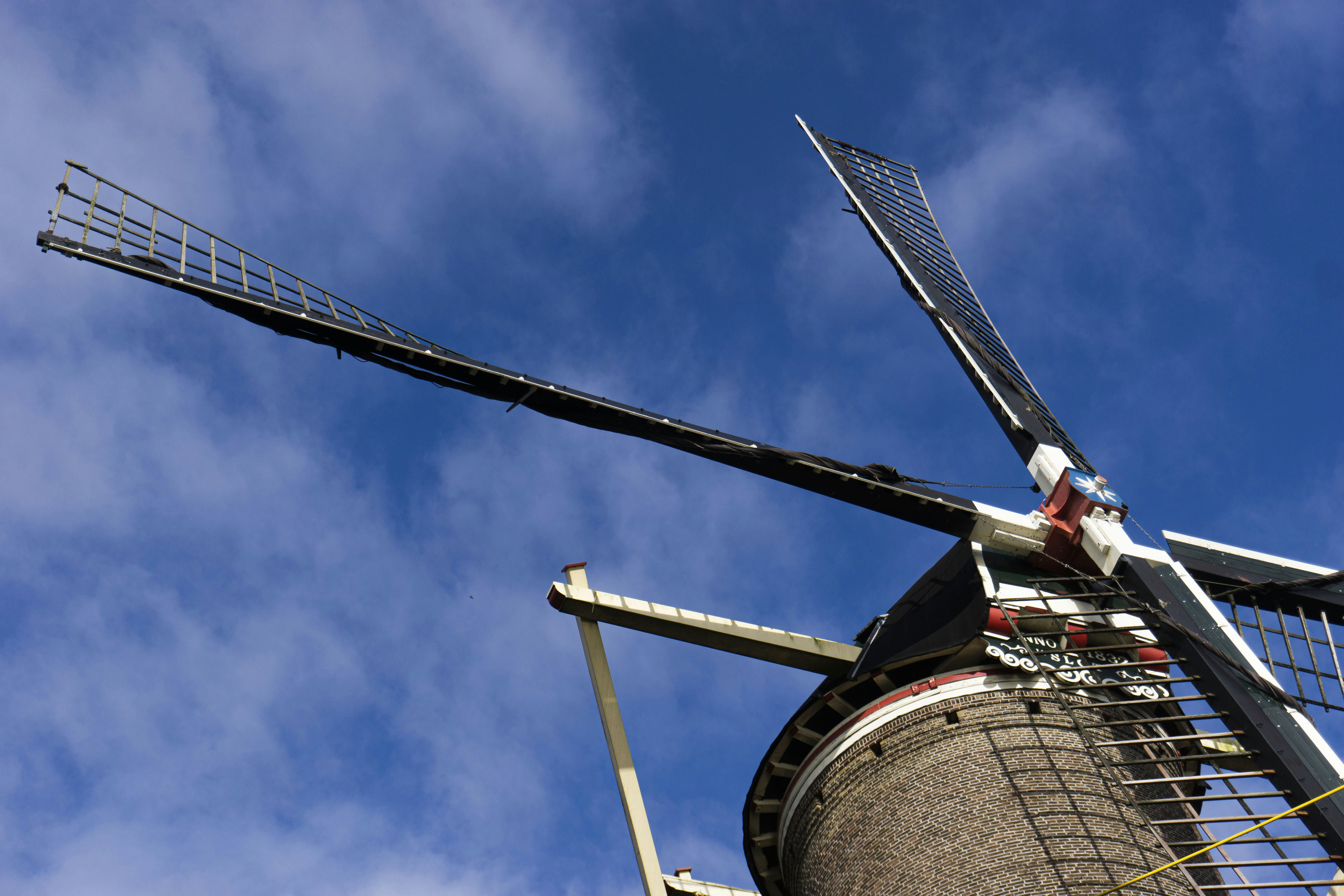 Majestic Blades Against AzureYvonne Einerhand