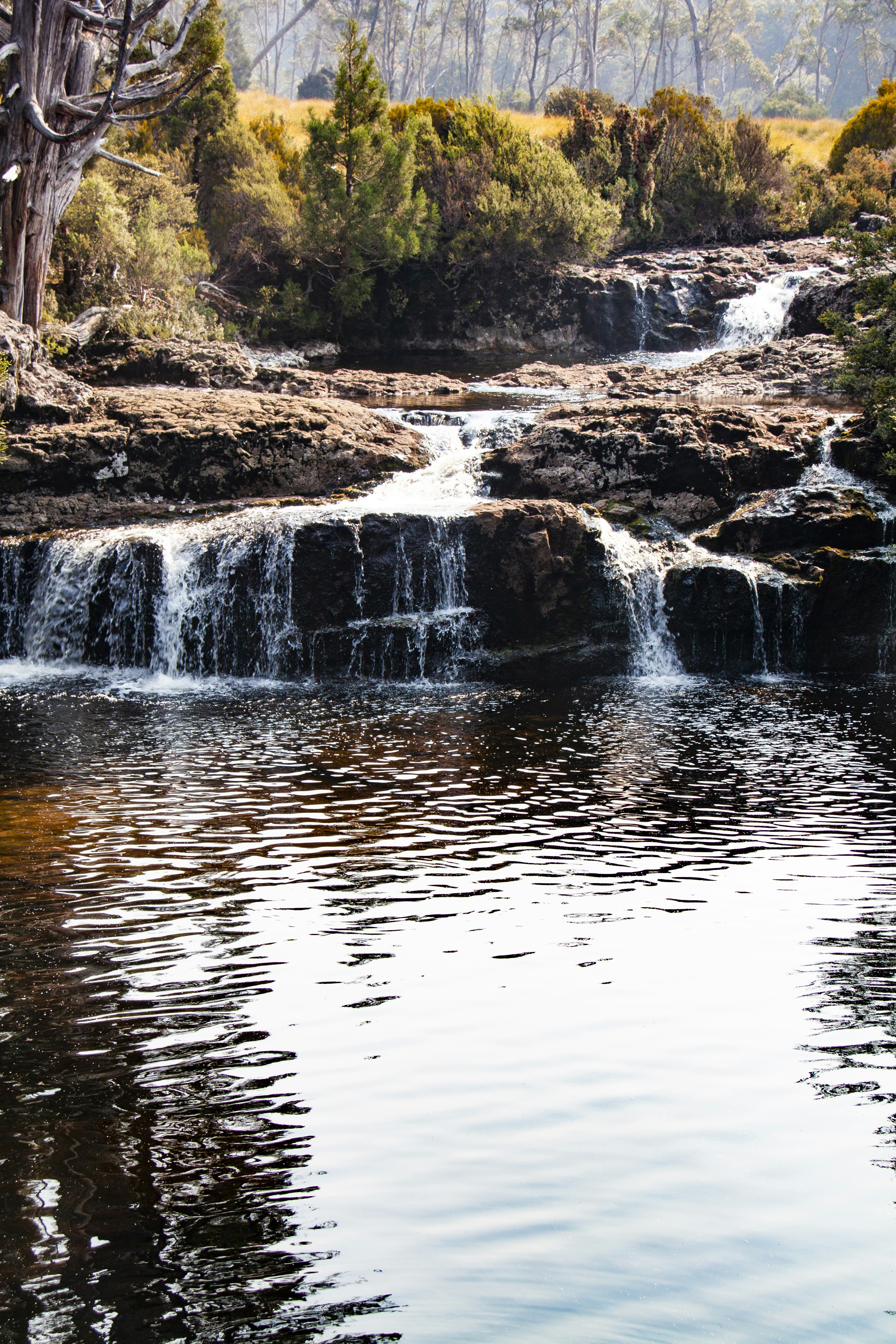 Water Flow Pictures | Download Free Images on Unsplash