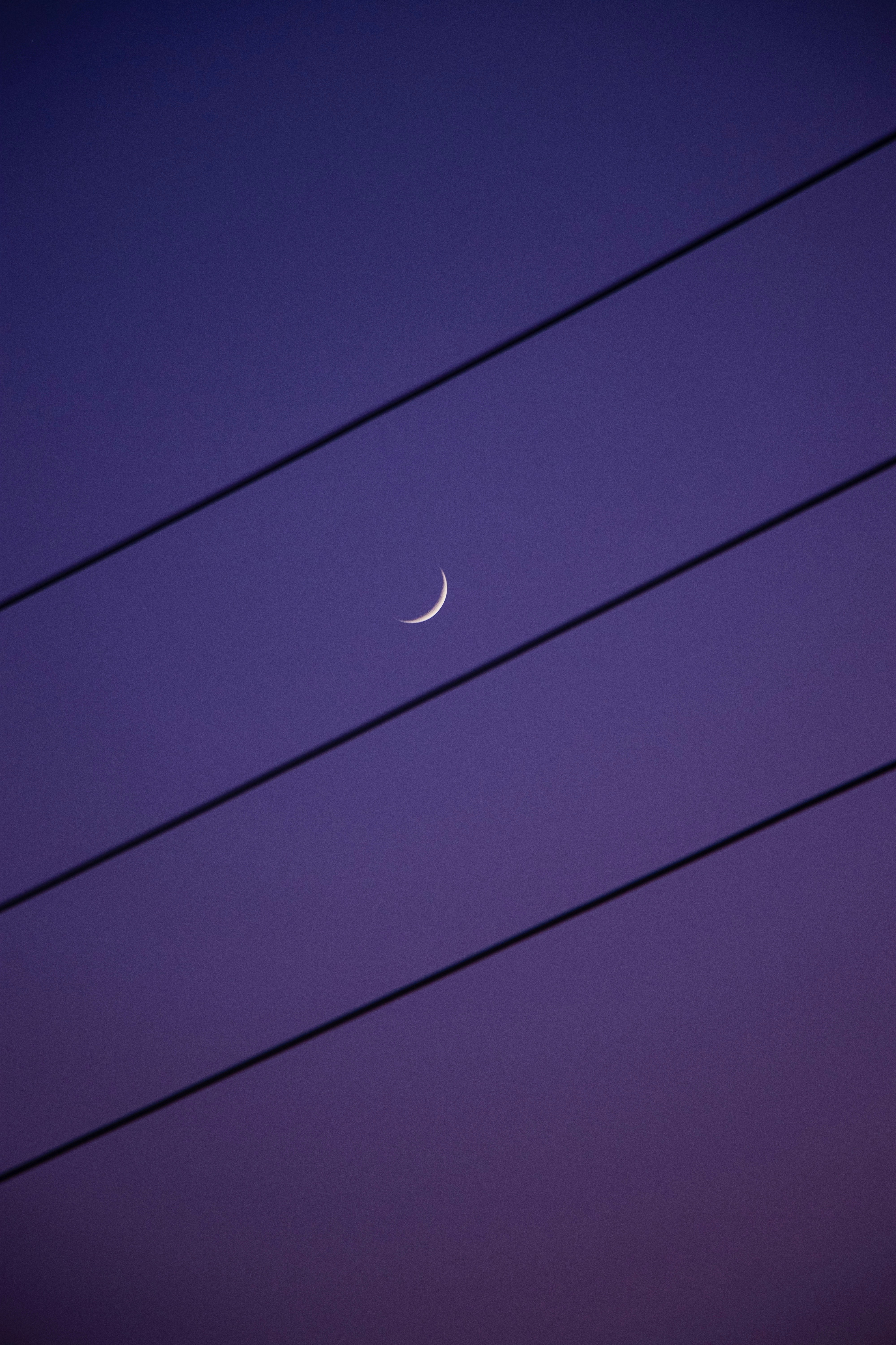 Crescent in Velvet Twilight Strung Between Three Wires