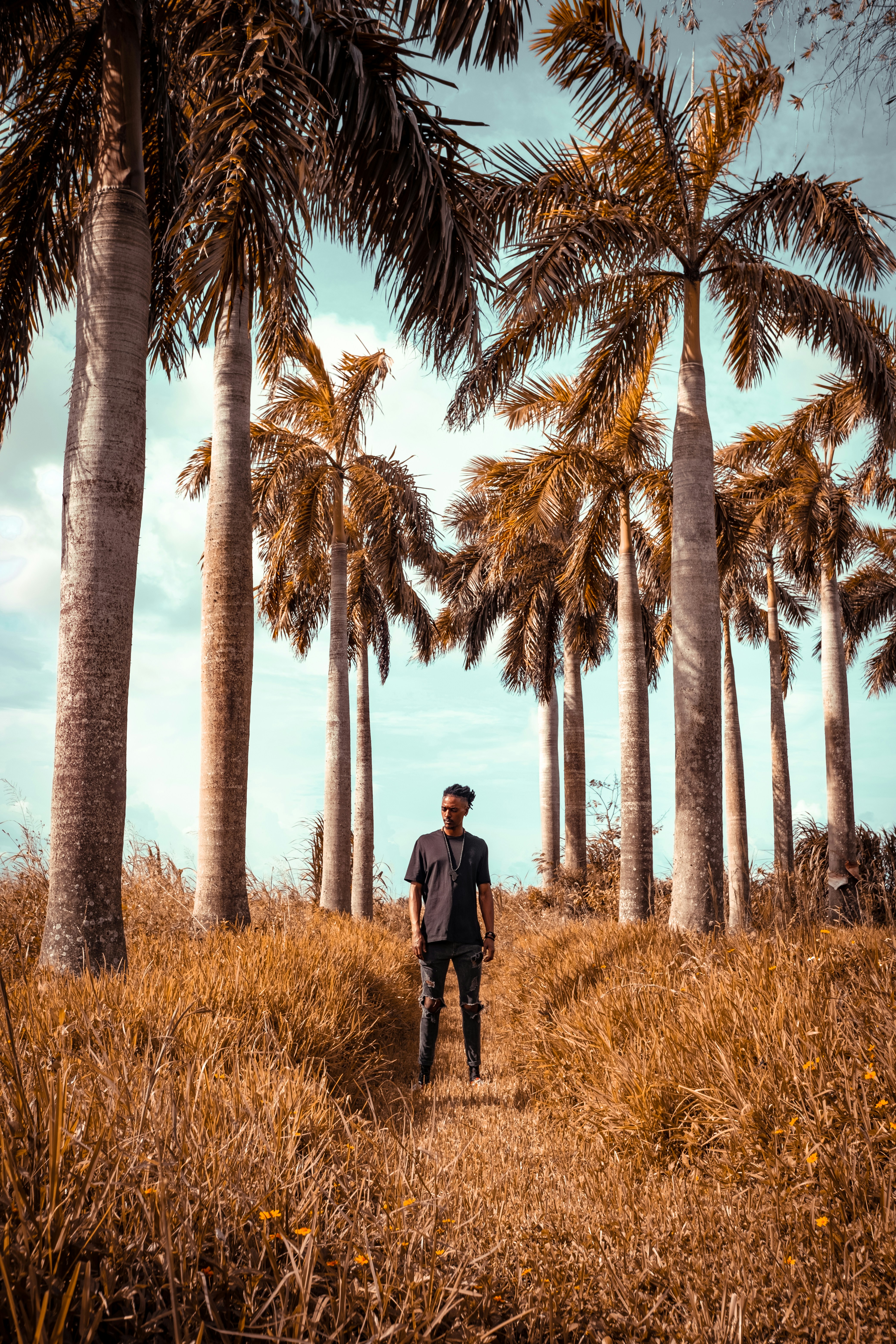 A lone figure stands on a grassy path flanked by tall palm trees, under a serene sky. The warm tones of the landscape create a tranquil atmosphere.
