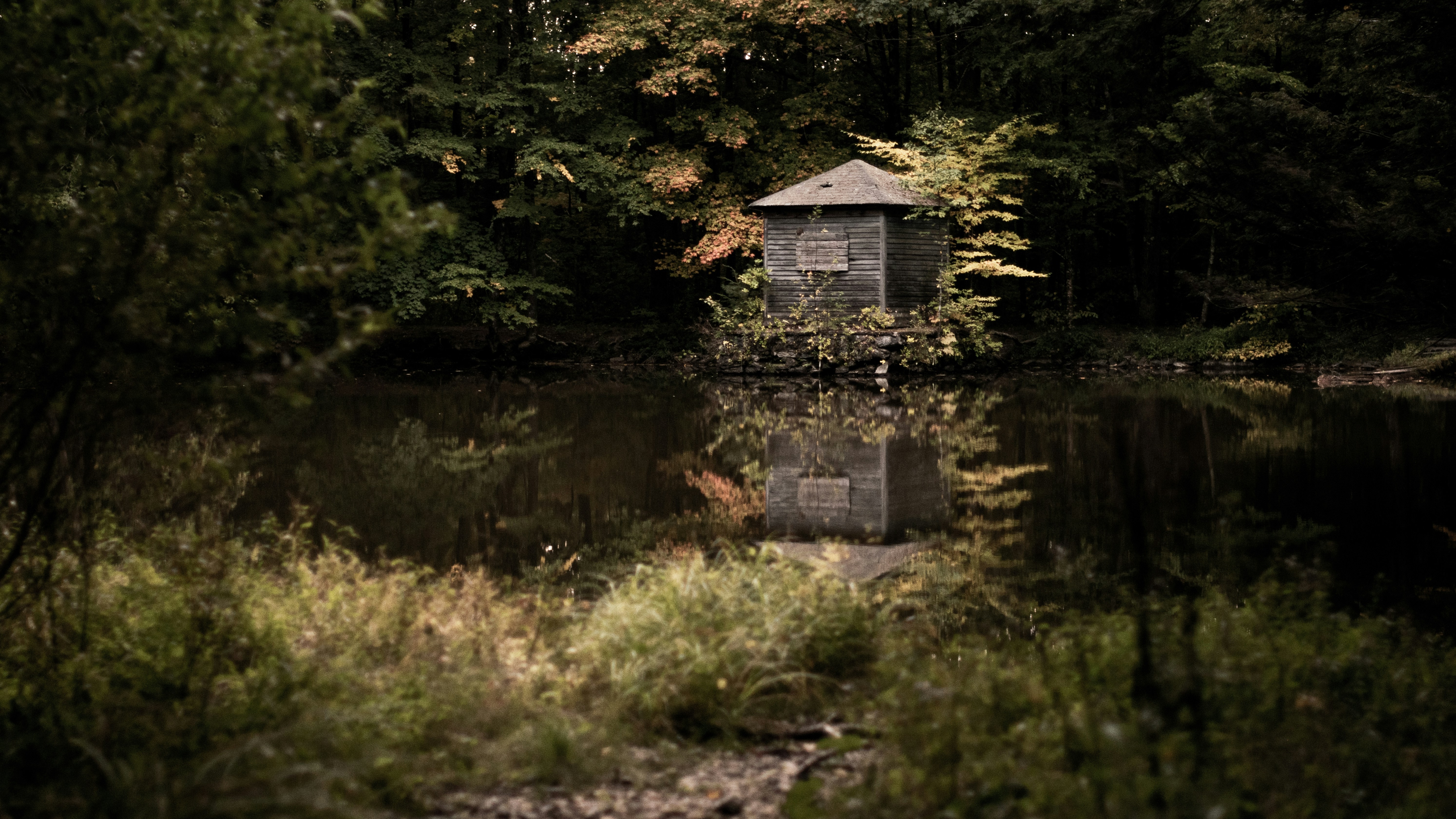 The Water's Edge Shed and Its Quiet Mirror