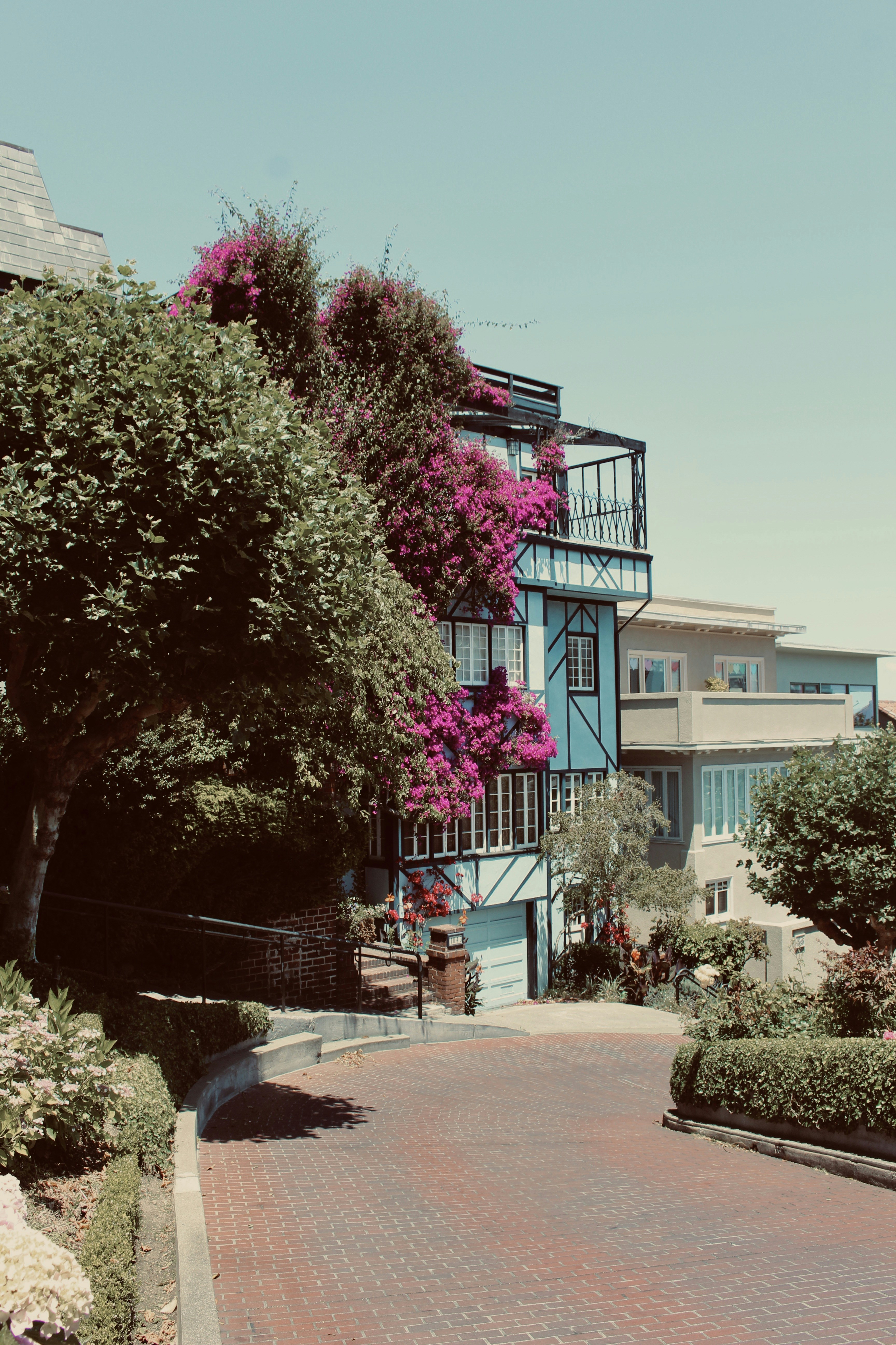 Colorful house adorned with vibrant bougainvillea, nestled among lush greenery on a winding road.