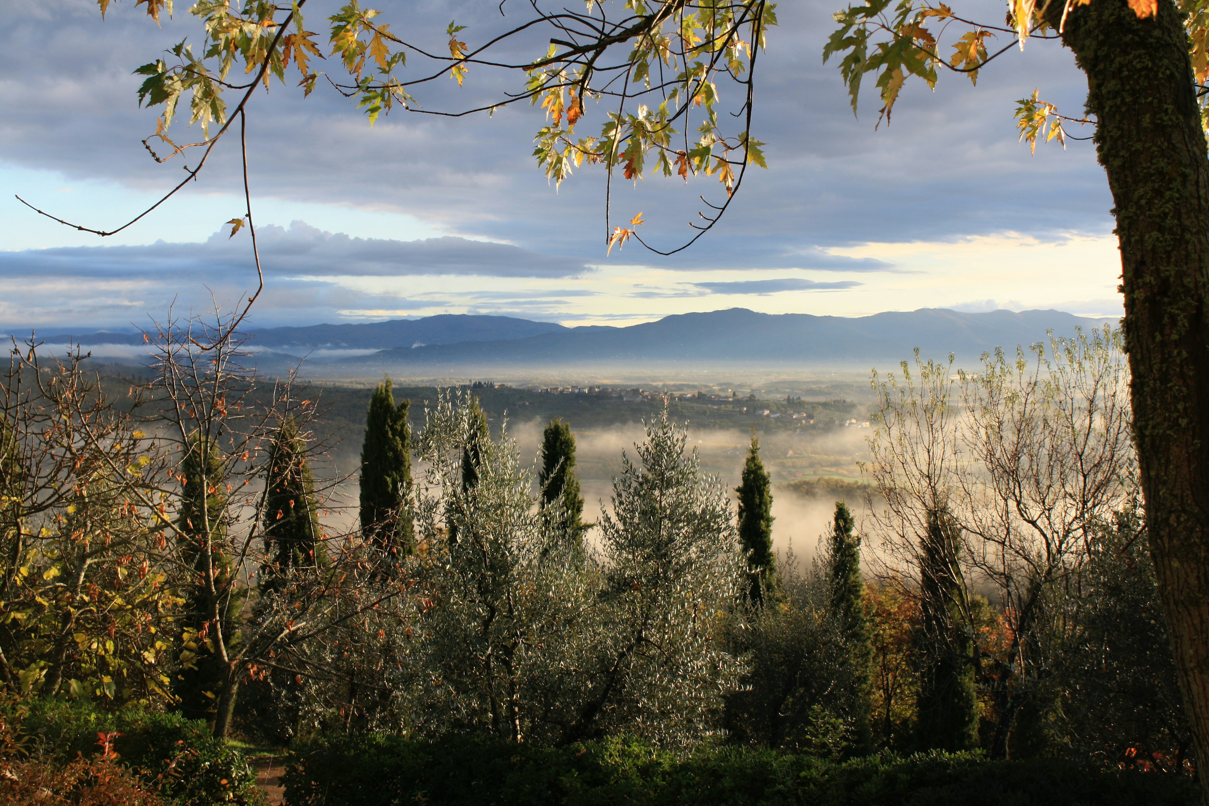 A serene landscape showcasing rolling hills shrouded in morning mist, framed by trees with autumn foliage. The scene captures the tranquil beauty of nature at dawn.