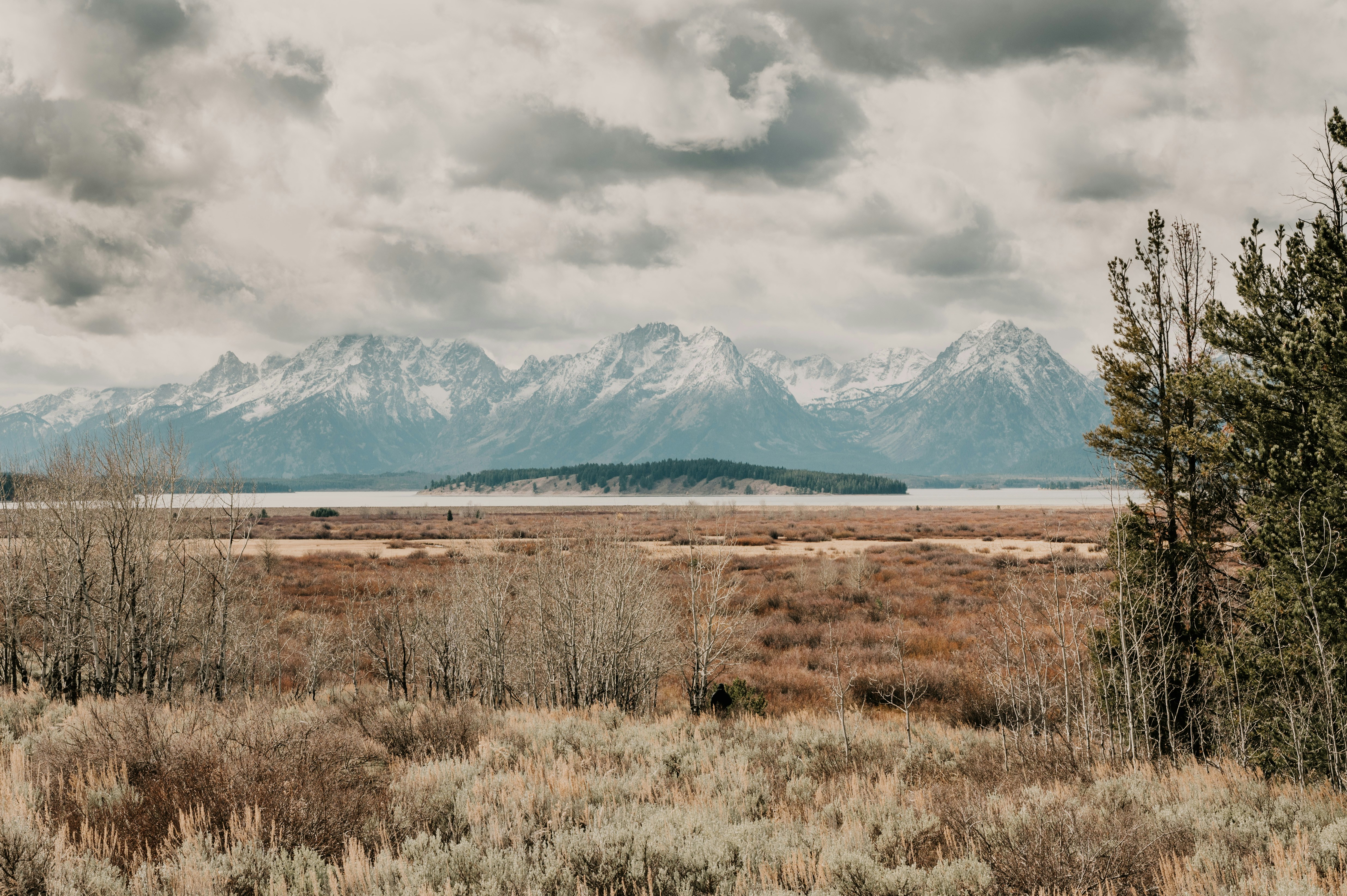 Expansive brown grass field with snow-covered mountains under a cloudy sky.