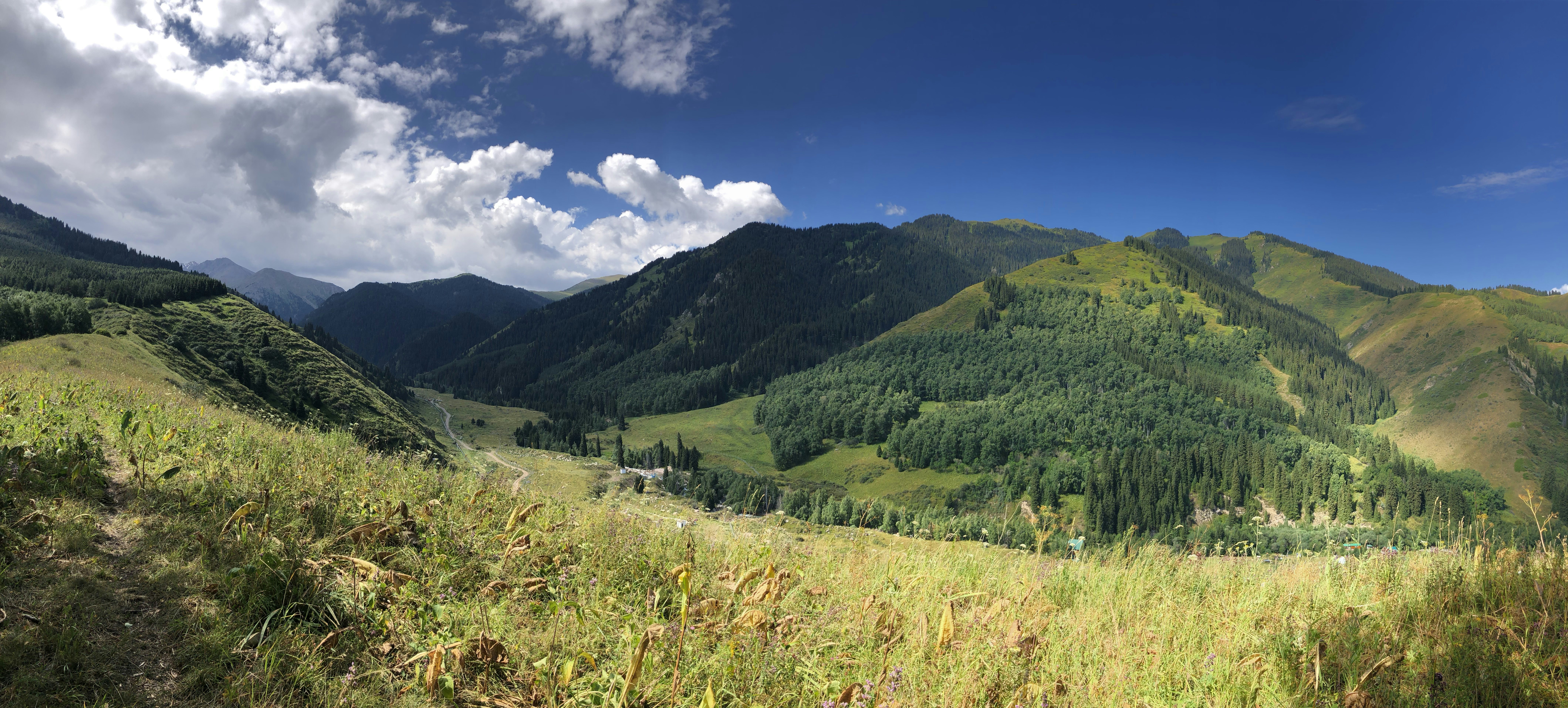 Vast alpine landscape with rolling green hills, dense forests, and a winding river under a dynamic sky filled with clouds.