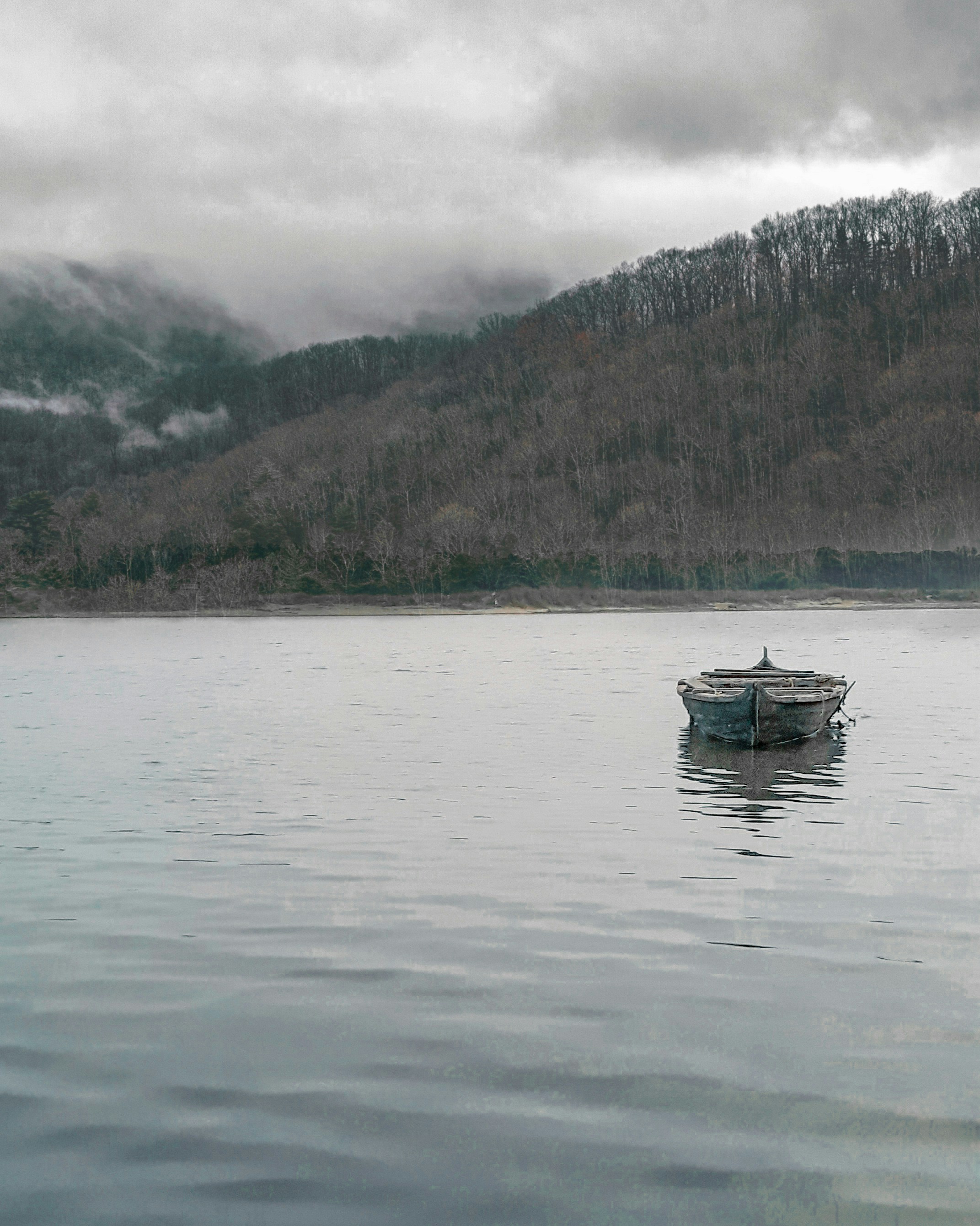 Shibi Zidhick (@shibizidhick) | Unsplashフォトコミュニティ