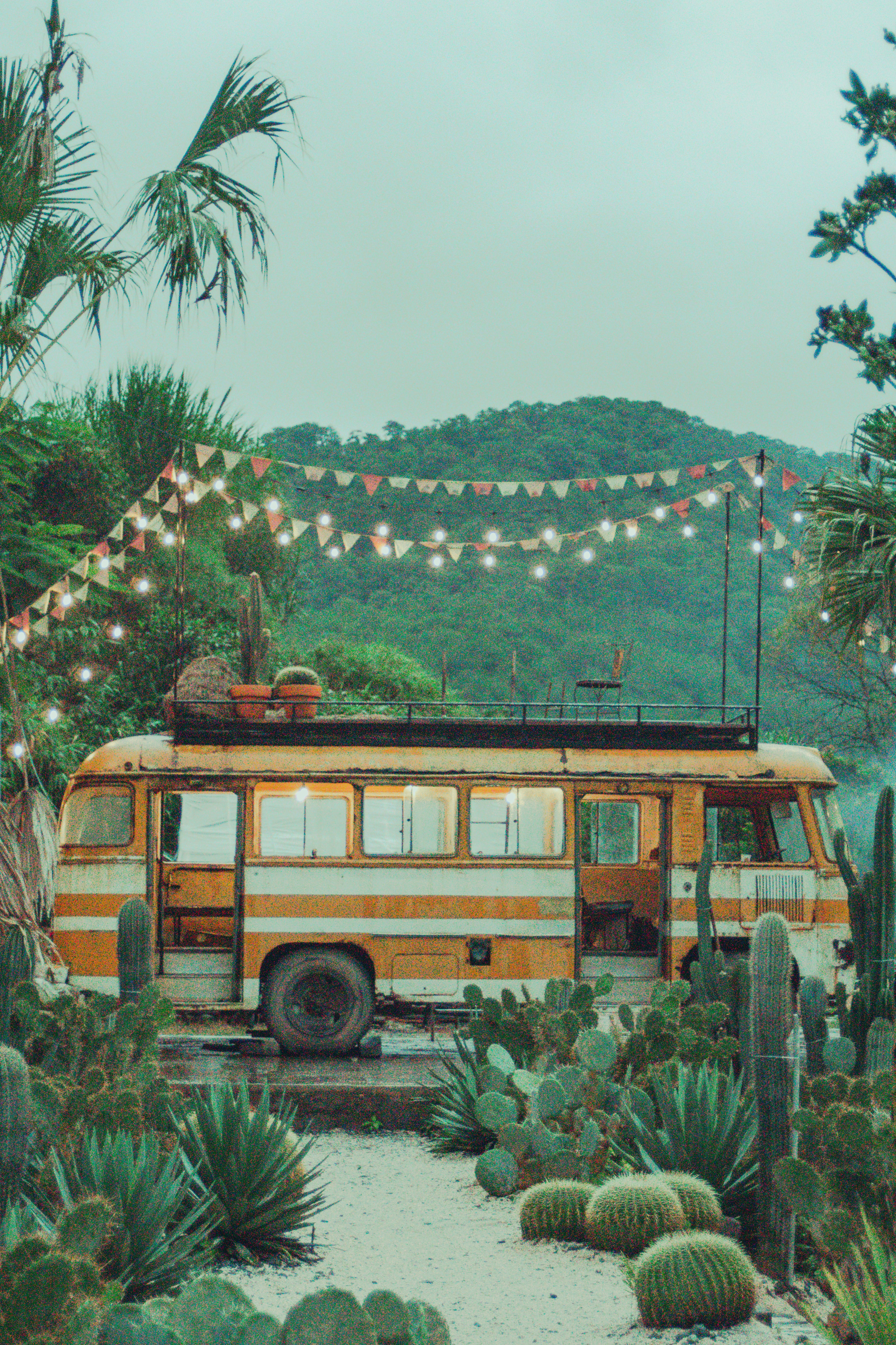 Sunlit Bus Oasis: A Desert Garden Beneath String Lights