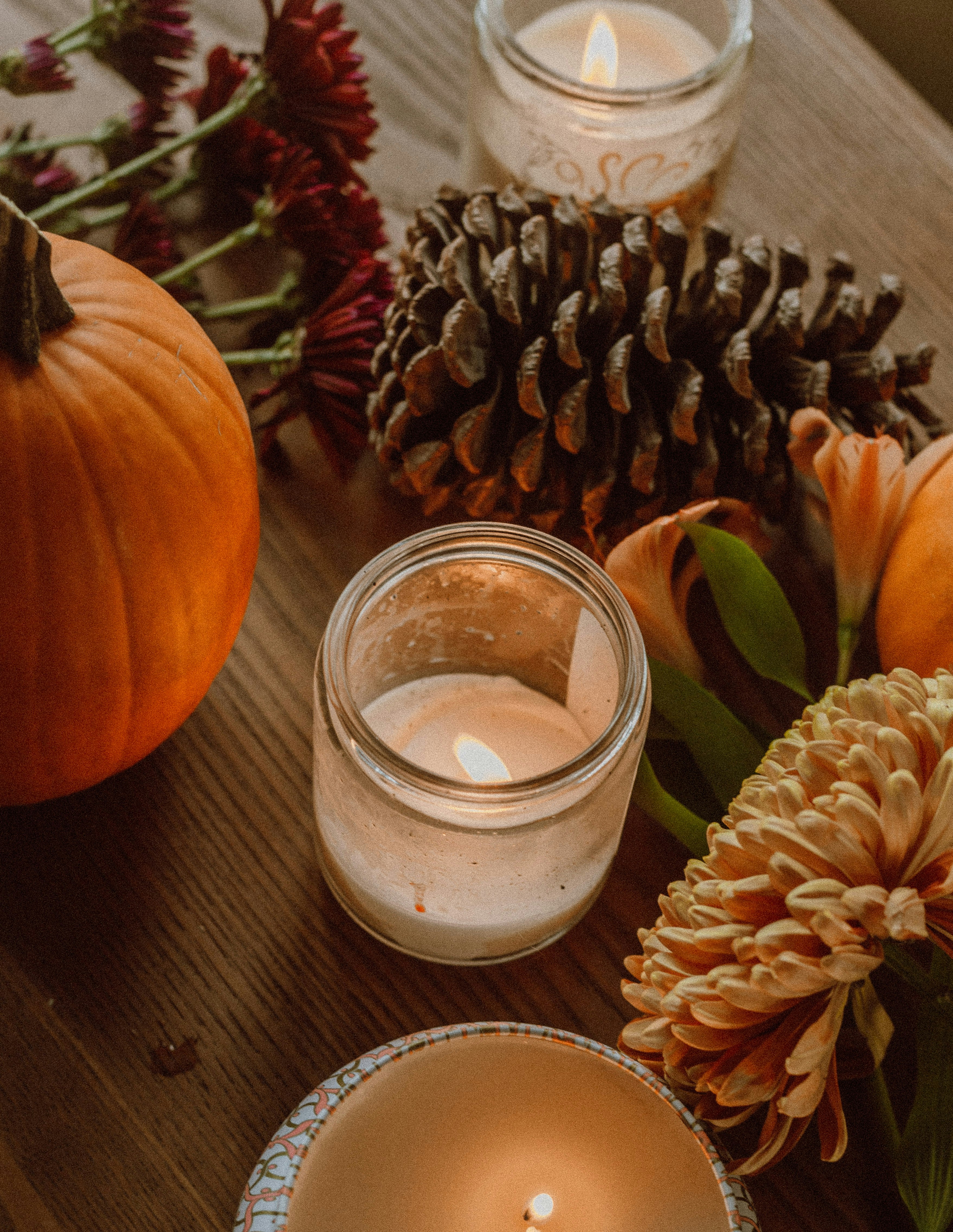 November | 33 best free november, plant, autumn and fall photos on Unsplash