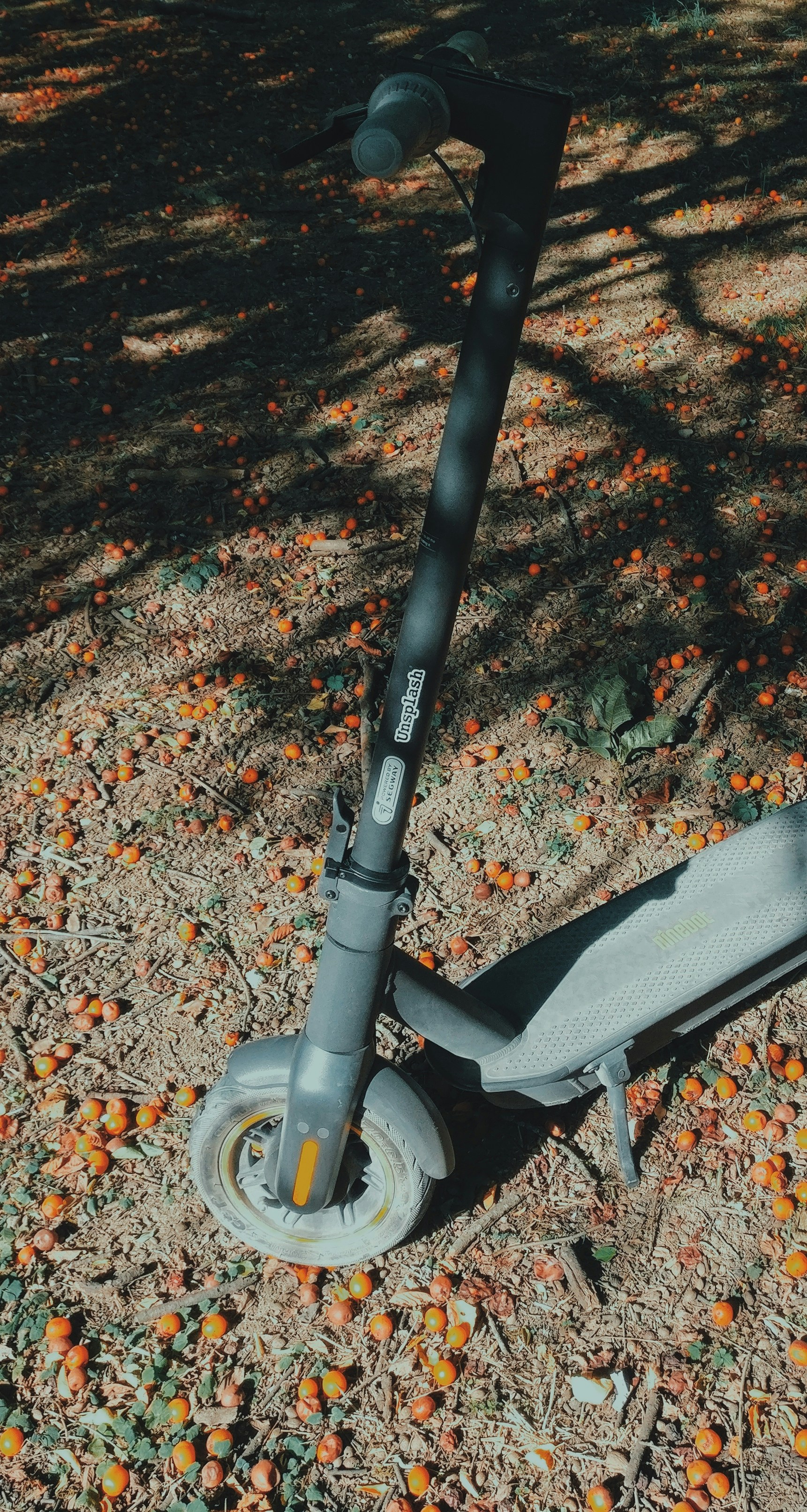 Gray electric scooter rests on sun-dappled soil, with scattered orange berries across the ground. A quiet, texture-rich street-level moment captured in muted shade.