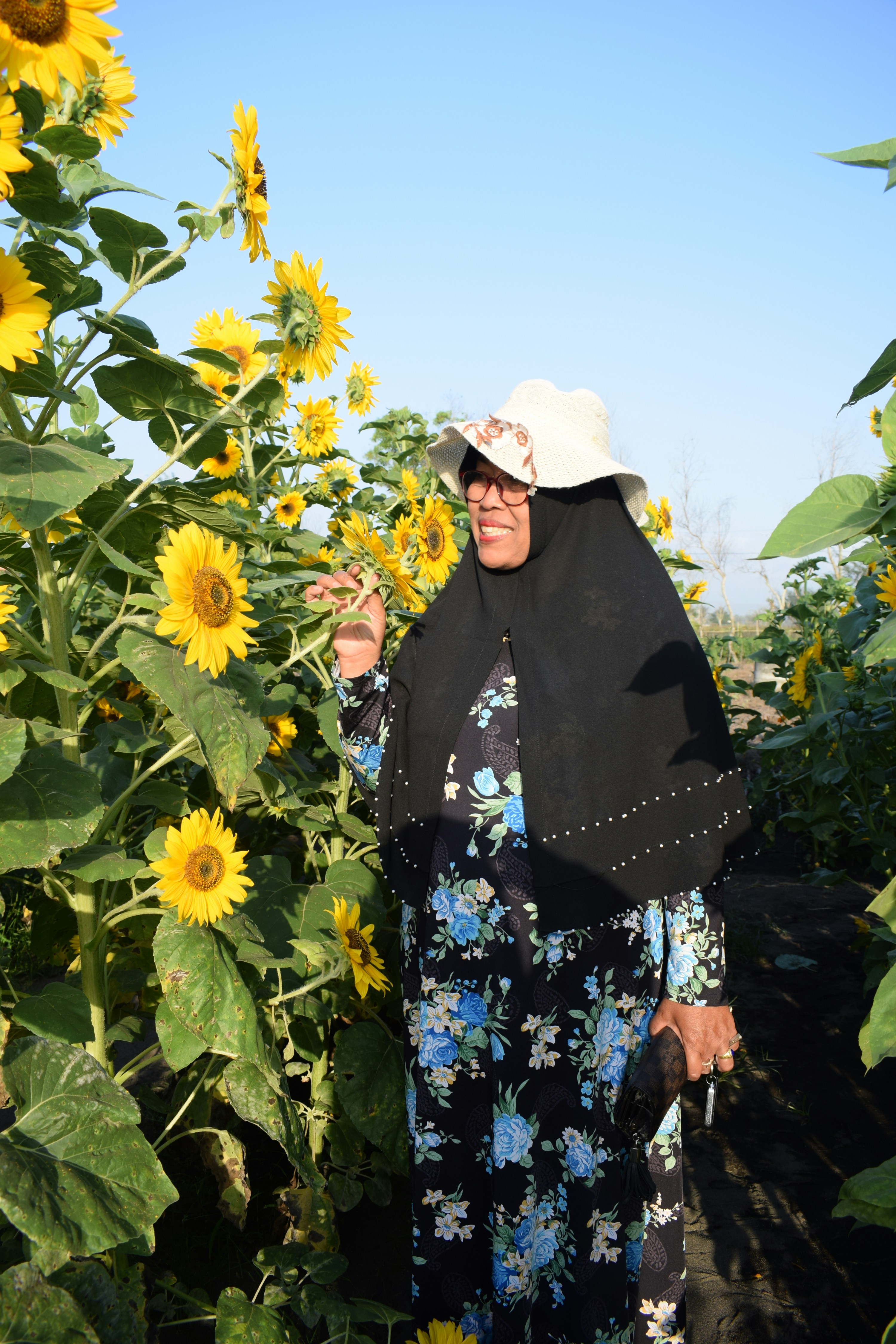 Sunlit Hands and Sunflowers: A Quiet Moment in the Field