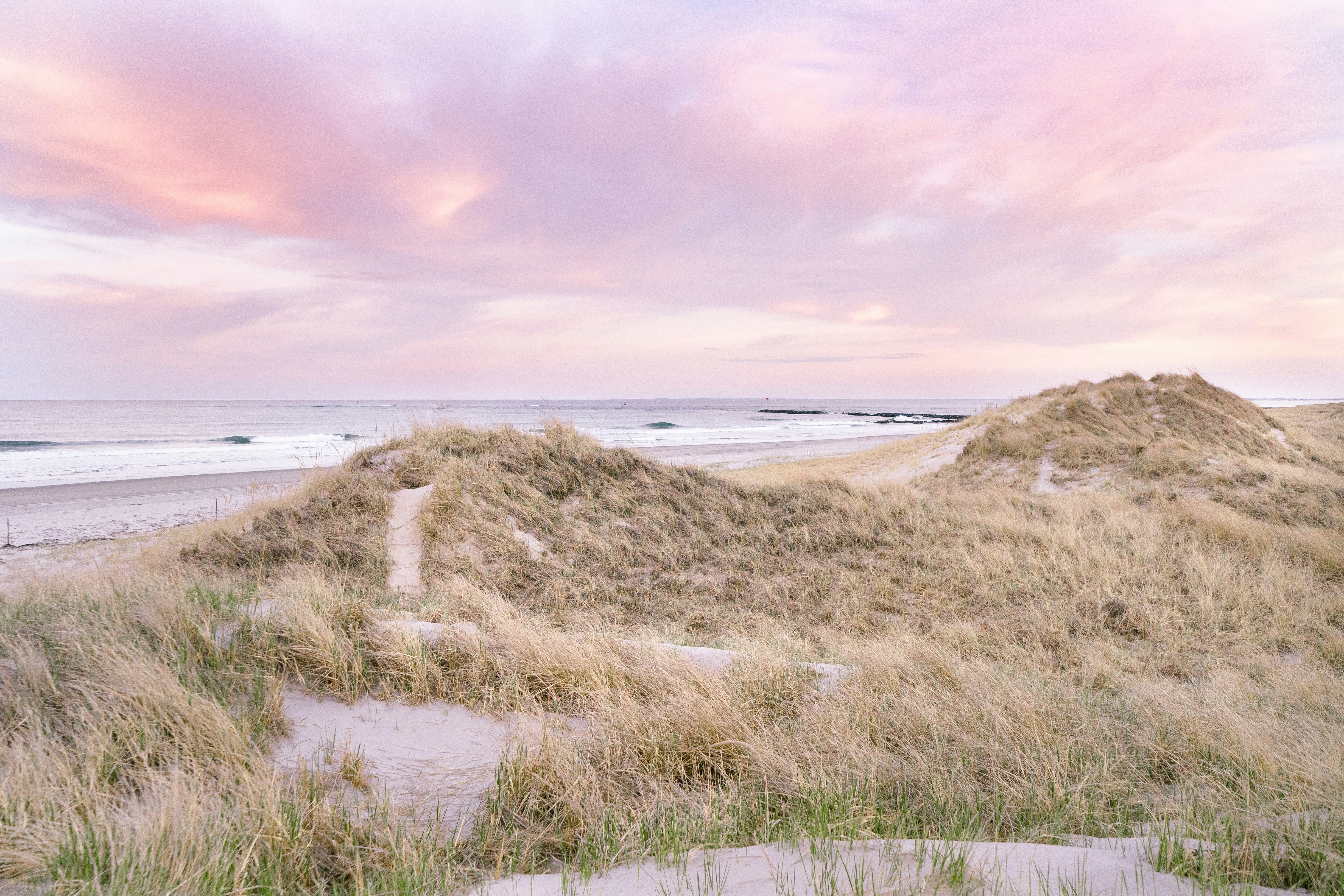 Gentle dunes covered in tall grass meet the tranquil waves of the ocean under a pastel sky at dusk.