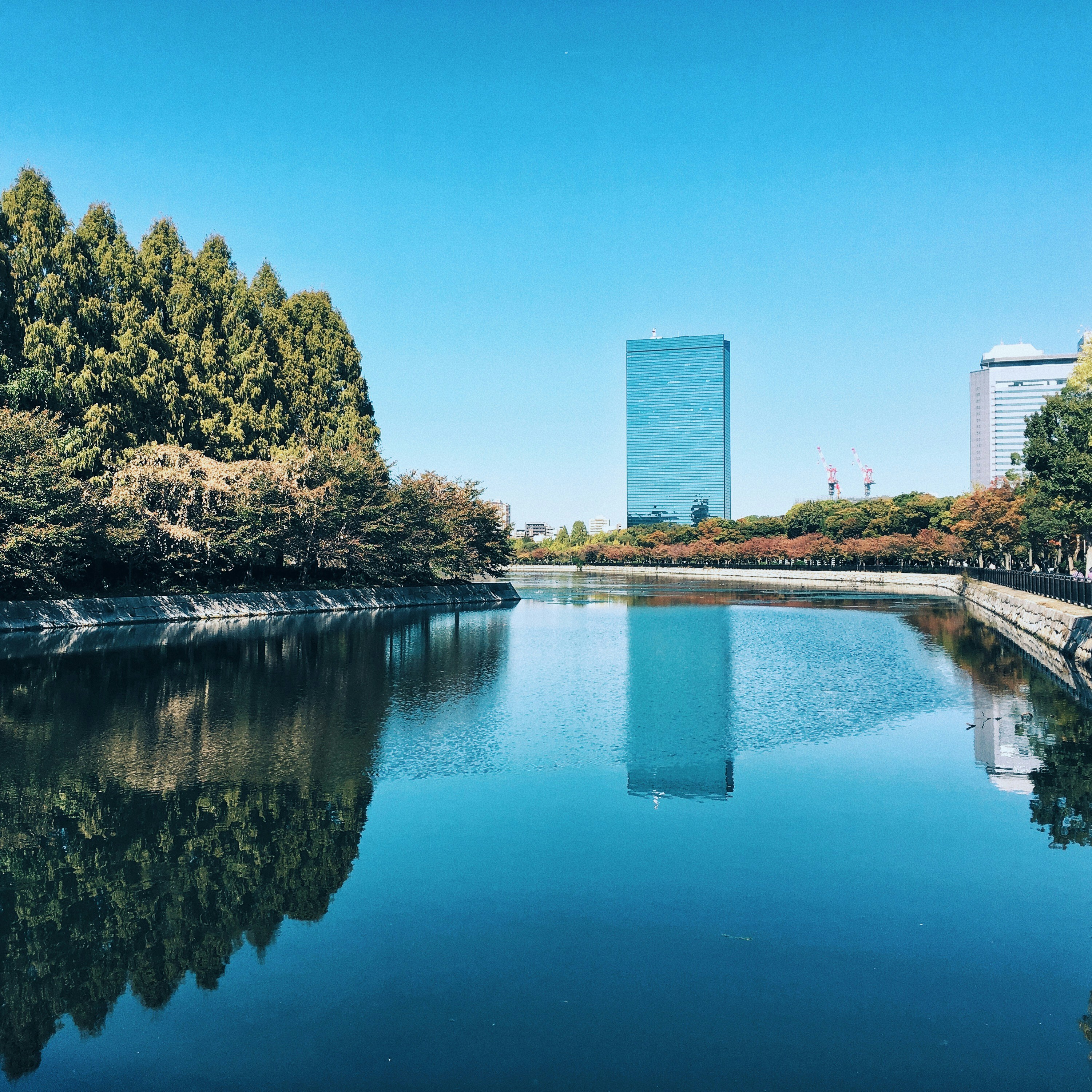 Urban Mirror: calm riverbank with modern skyline