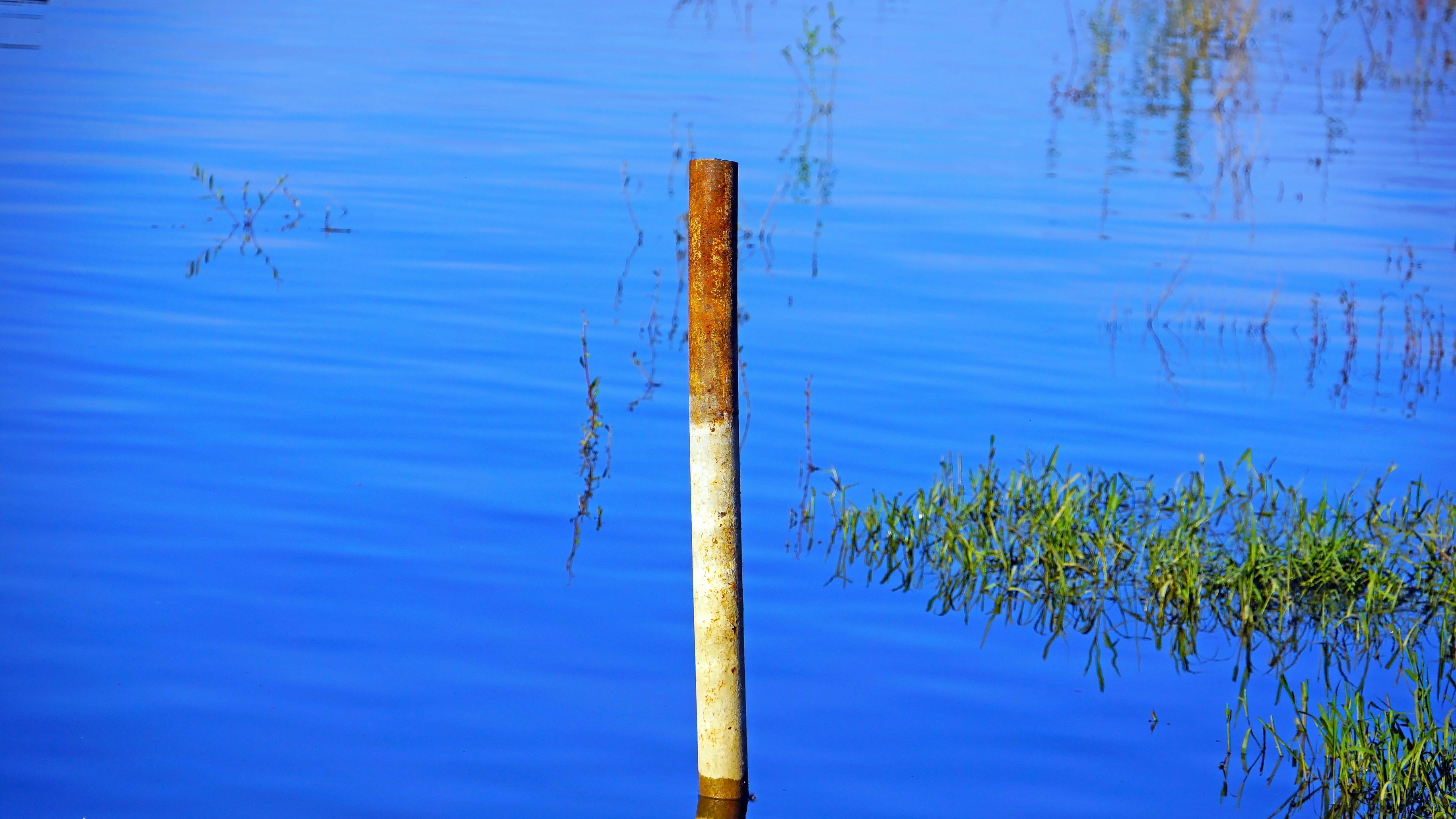 A weathered post rises from a serene blue lake, surrounded by gentle aquatic vegetation. The contrast between the rust and the vibrant water creates a striking visual.