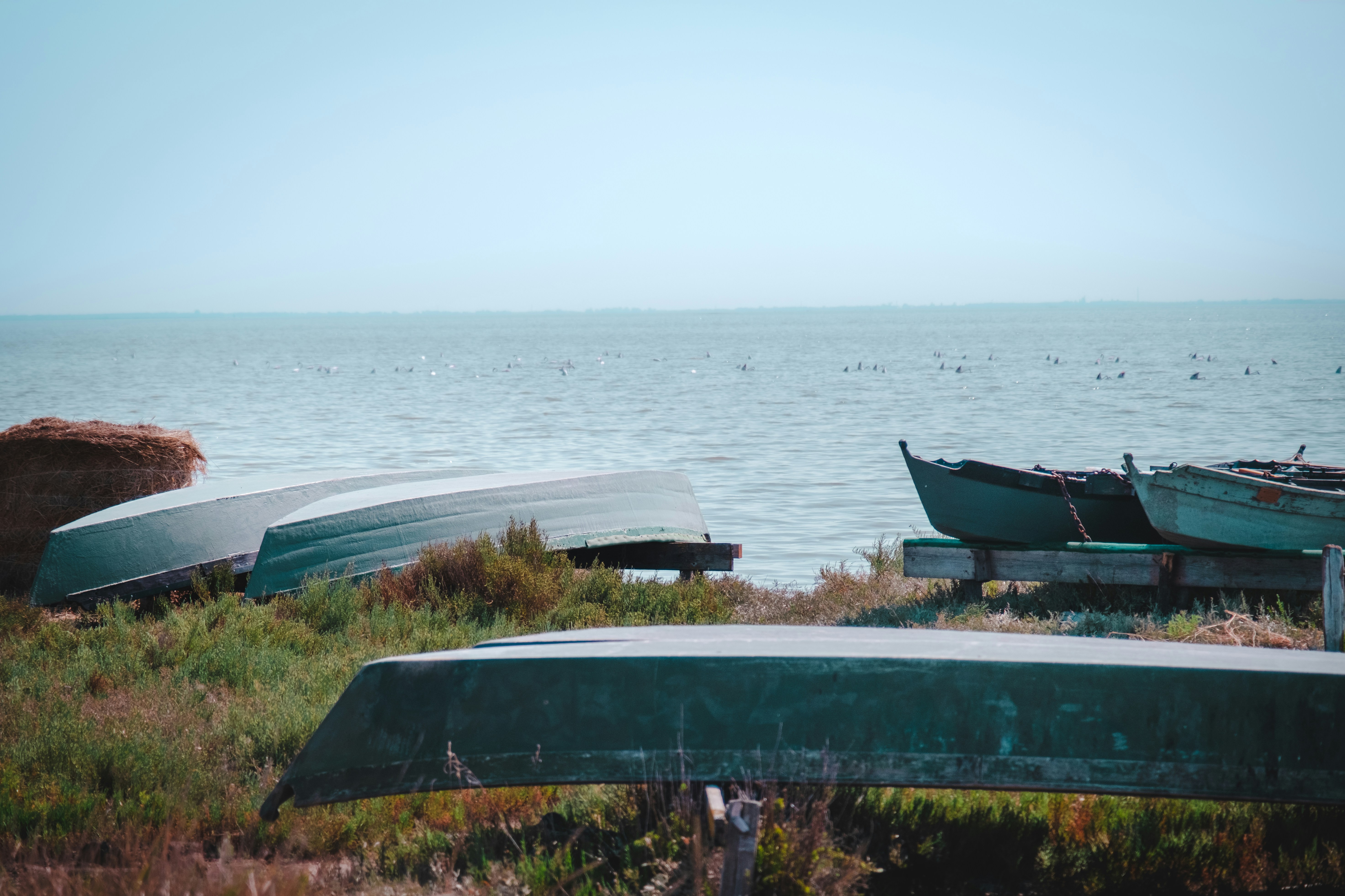 Rowboats rest on a grassy shore overlooking a calm sea under a clear sky.