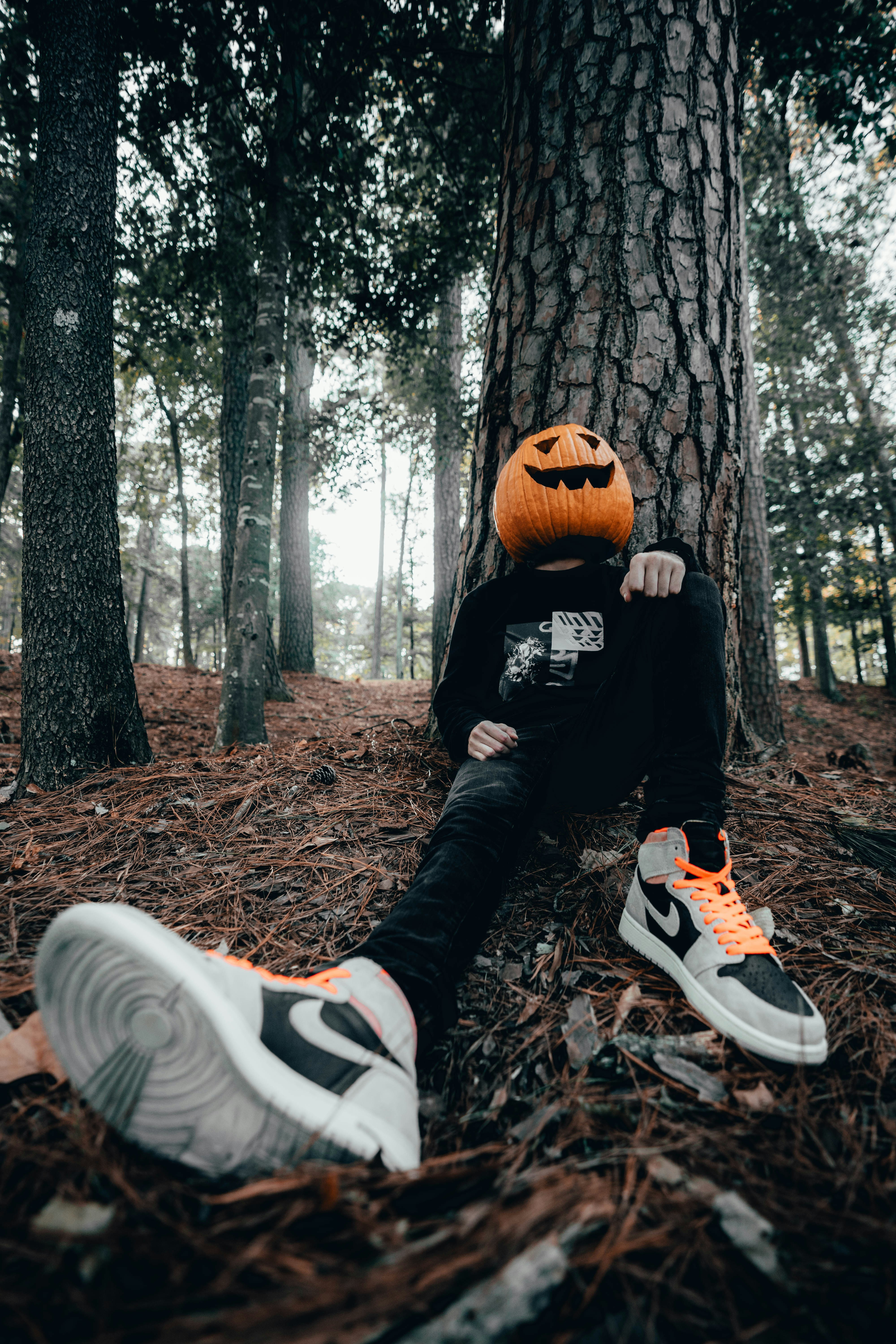 Pumpkin Glow in the Pines: A Quiet Halloween Moment