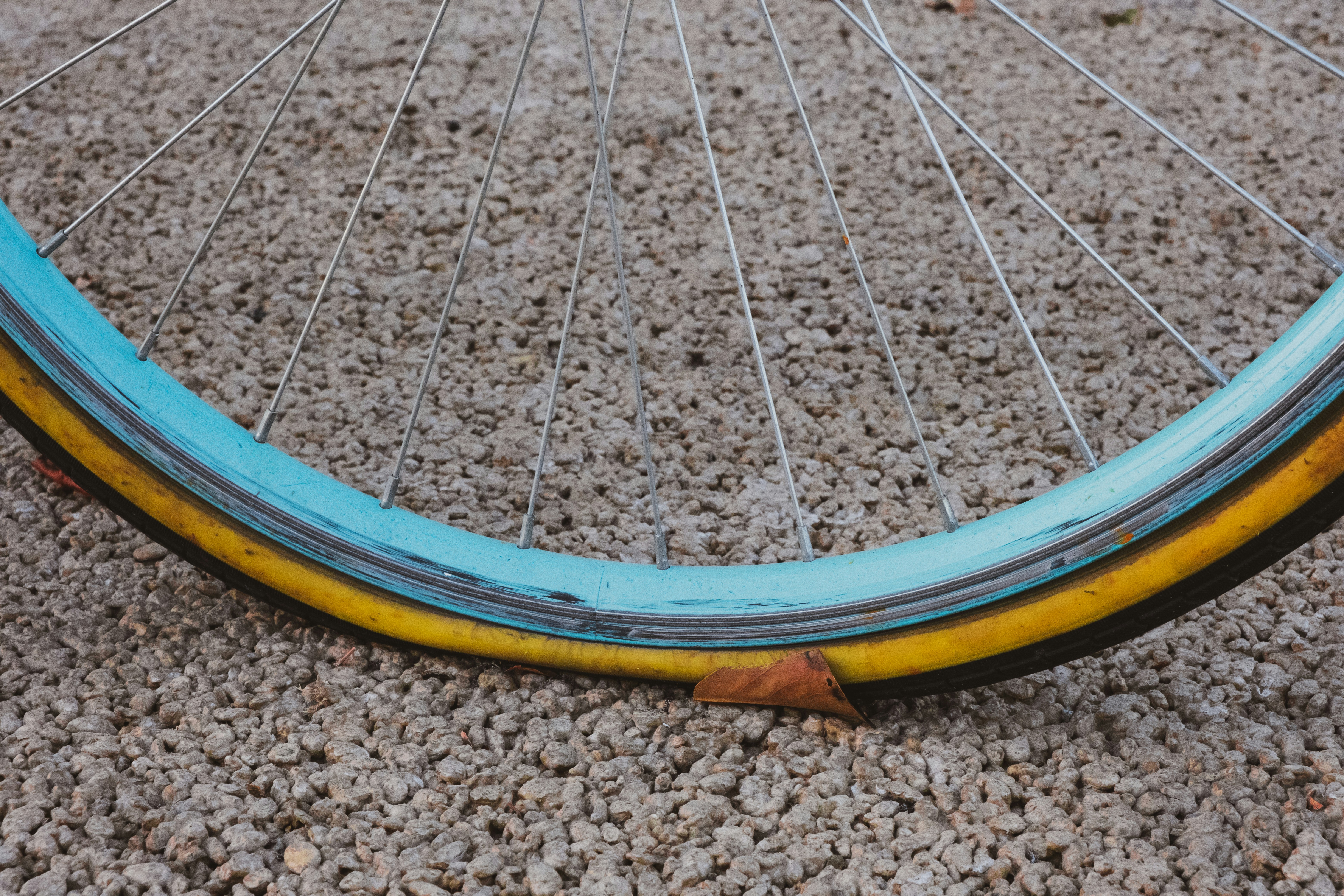 Orange leaf under yellow and cyan bicycle wheel.
