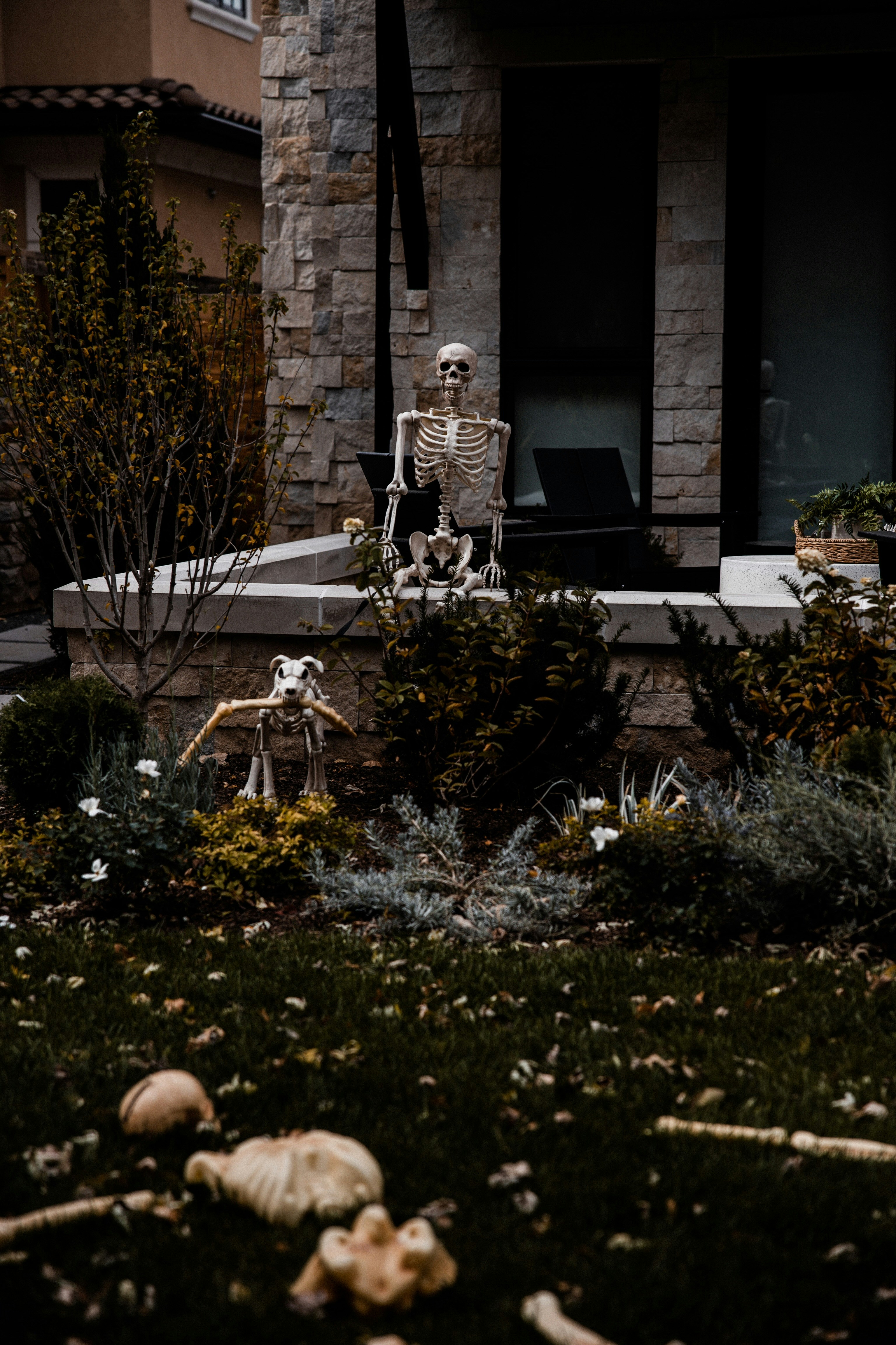 Two skeletons seated in a garden, surrounded by spooky decor and autumn foliage. The scene evokes a playful Halloween spirit.