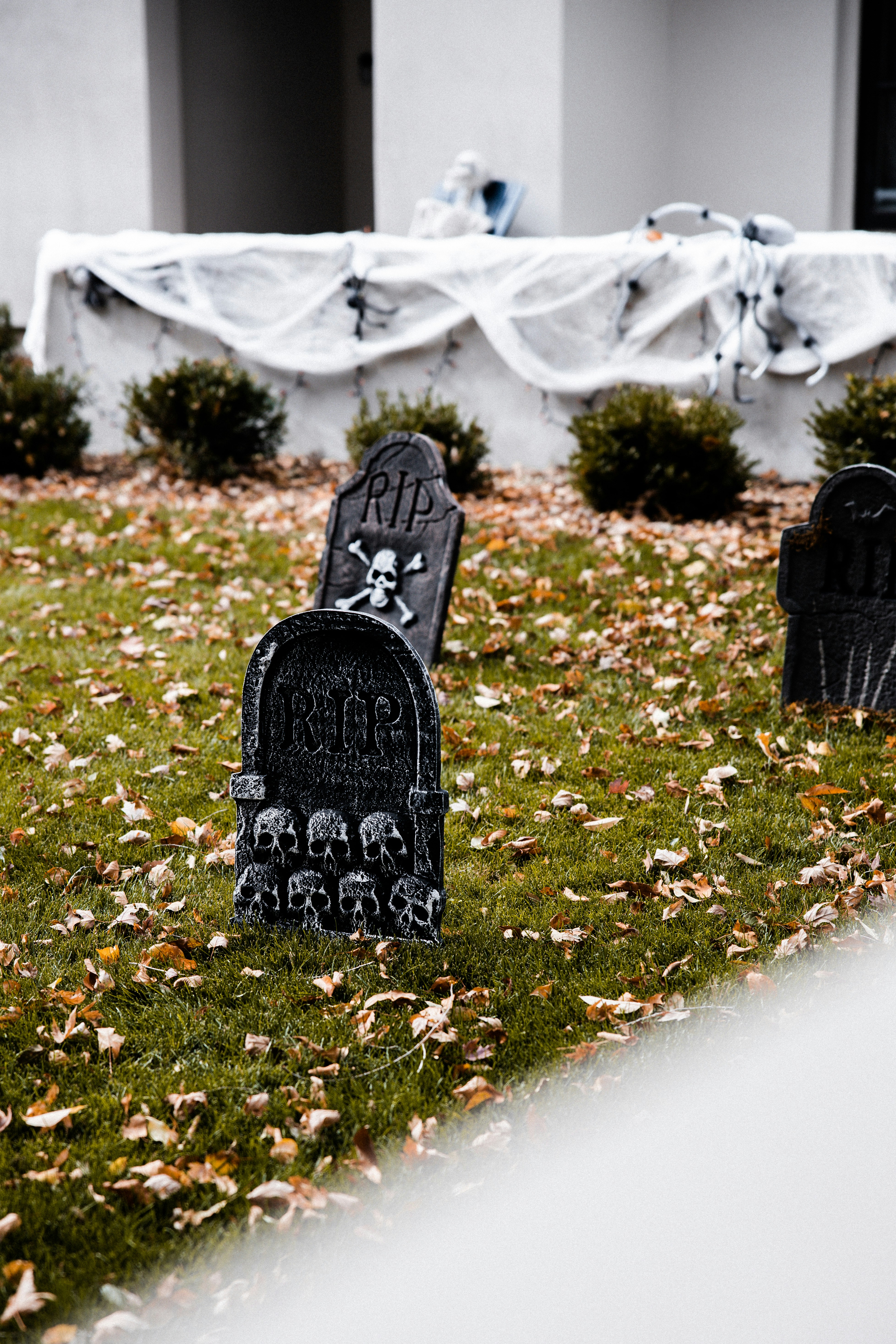 Skull Motifs Among Fallen Leaves: A Quiet Cemetery Portrait