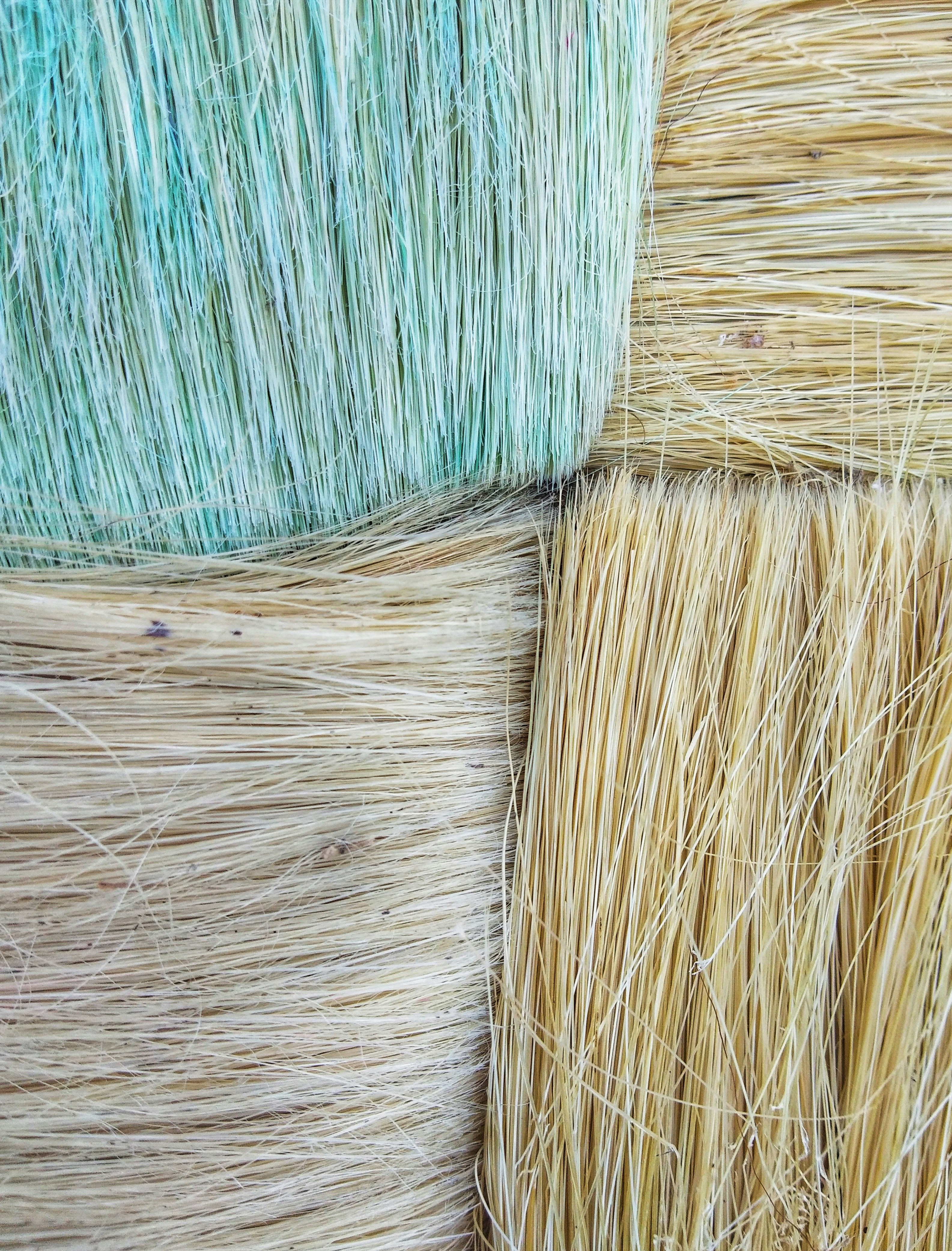 Brown and green woven sticks photo – Free Blue Image on Unsplash