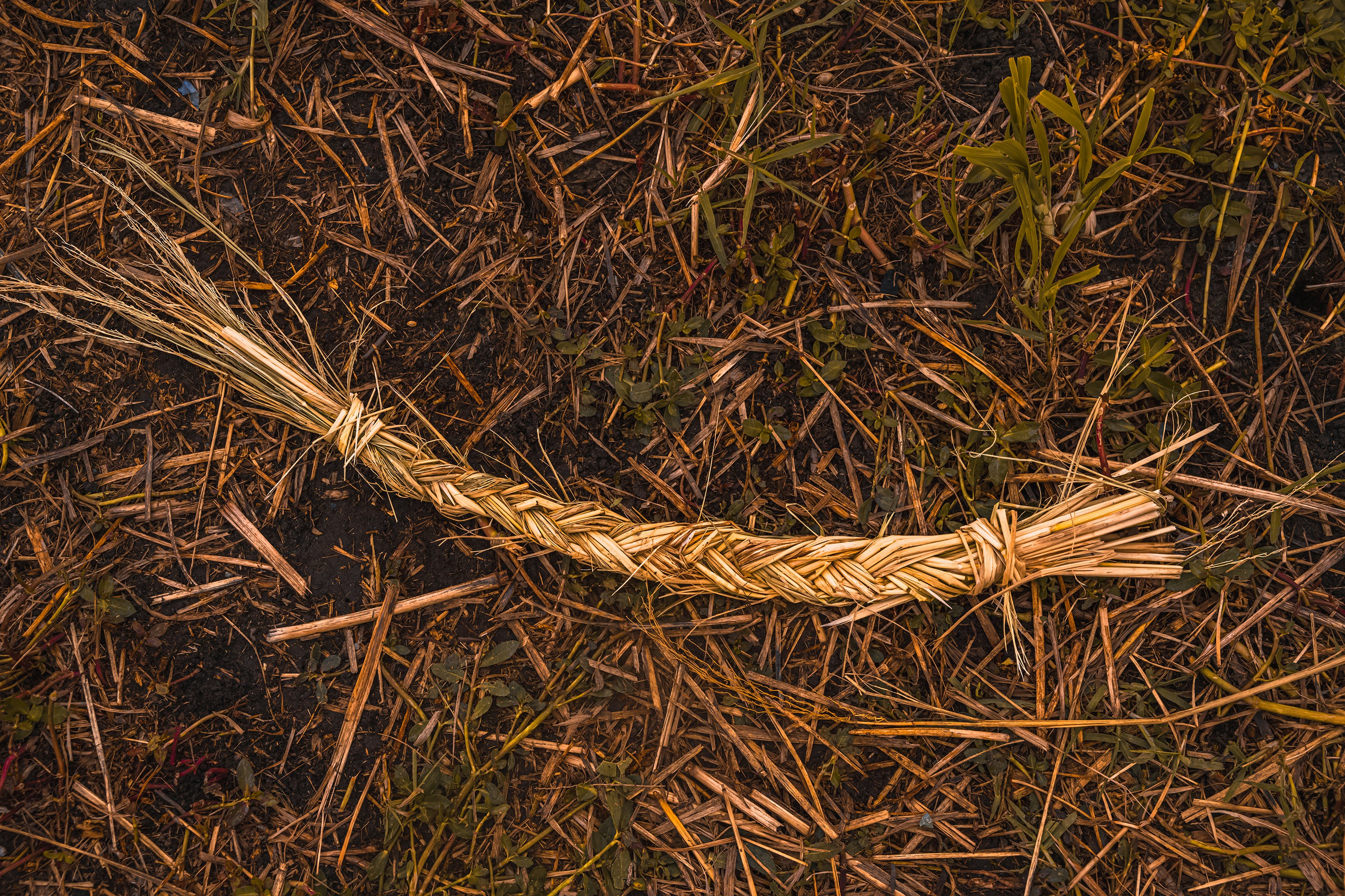 Brown rope on green grass photo – Free Brown Image on Unsplash