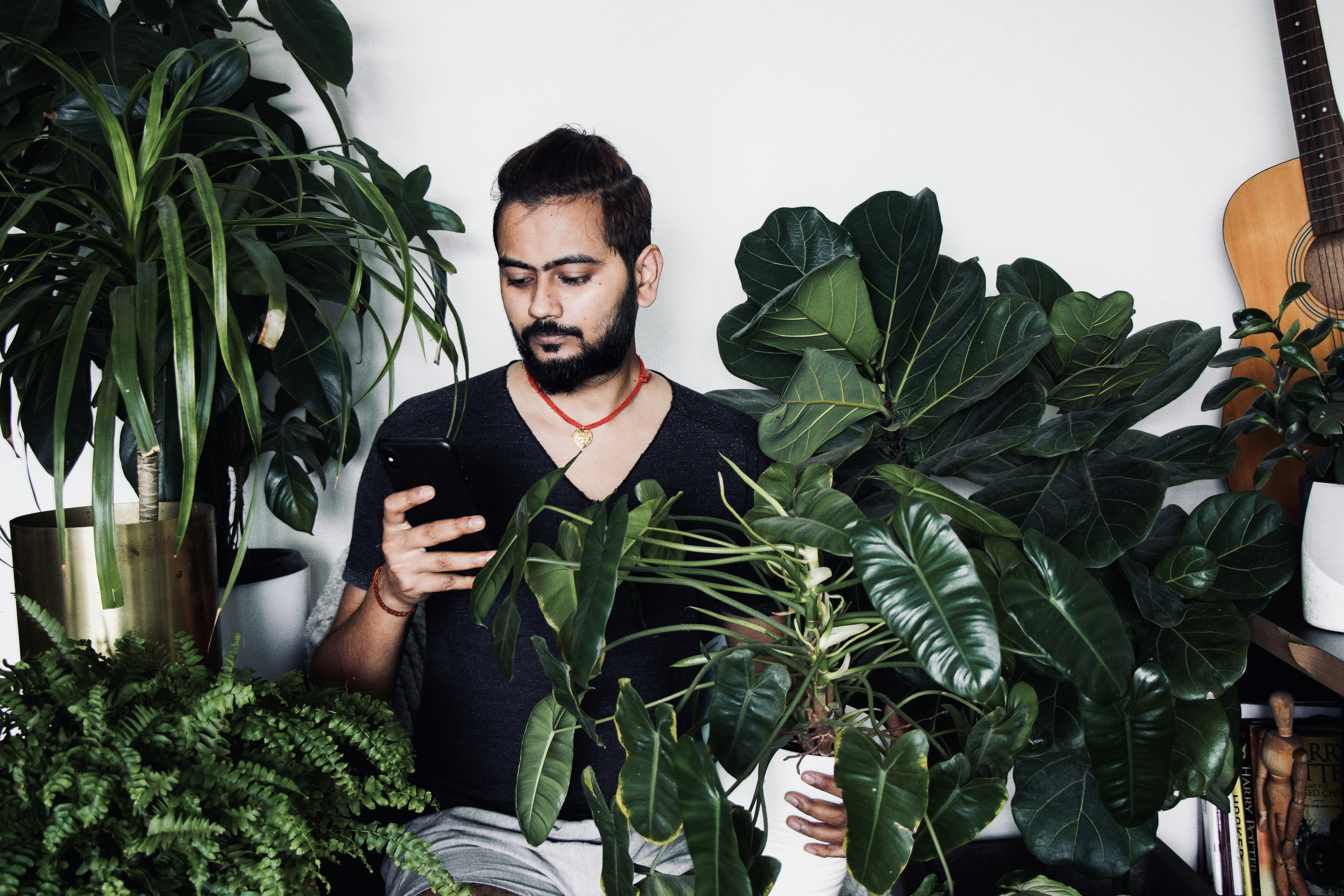 Signal in the Greenroom: A Man Pauses to Scroll Amid Tropical Houseplants