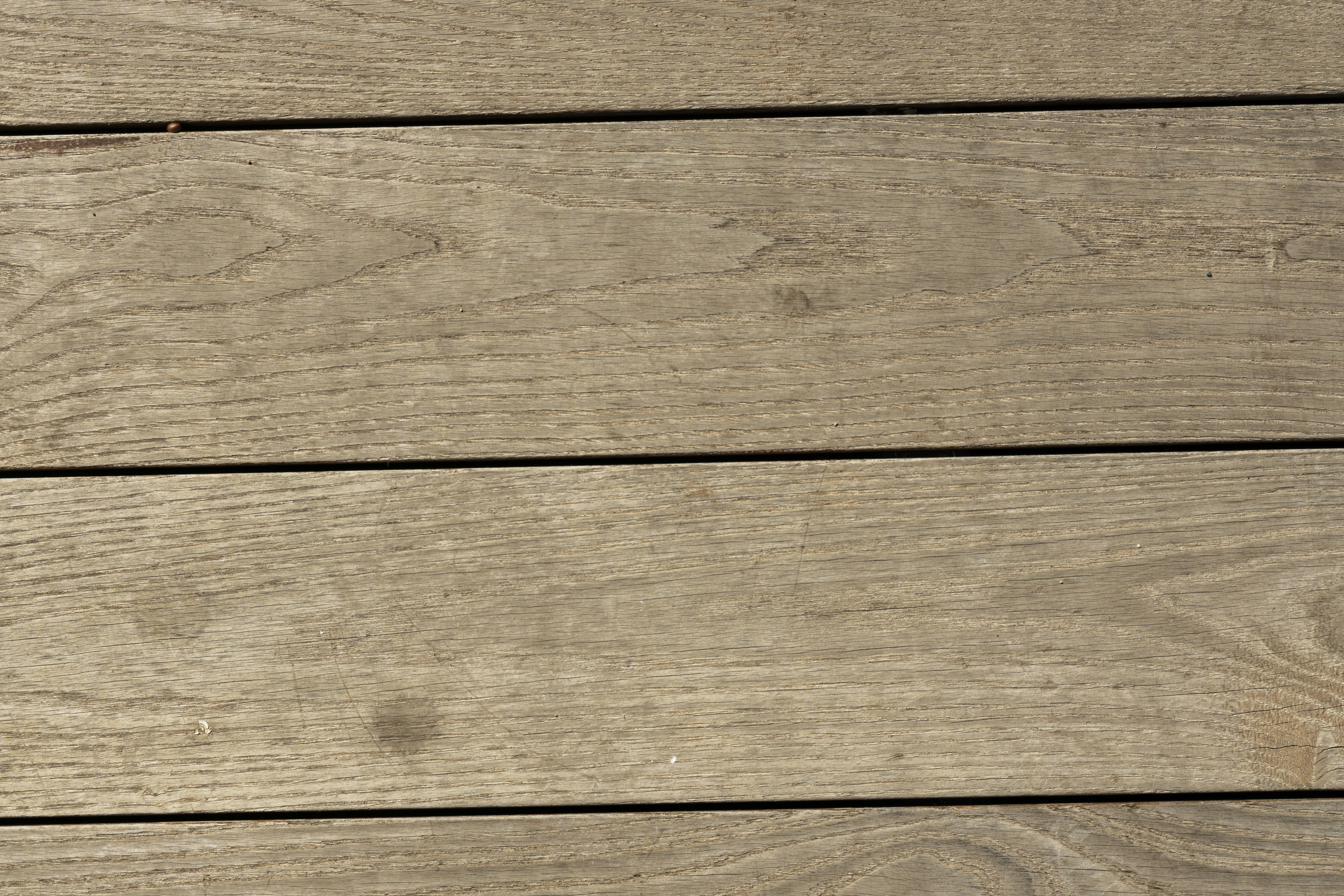 Imágenes de Madera Morada | Descarga imágenes gratuitas en Unsplash