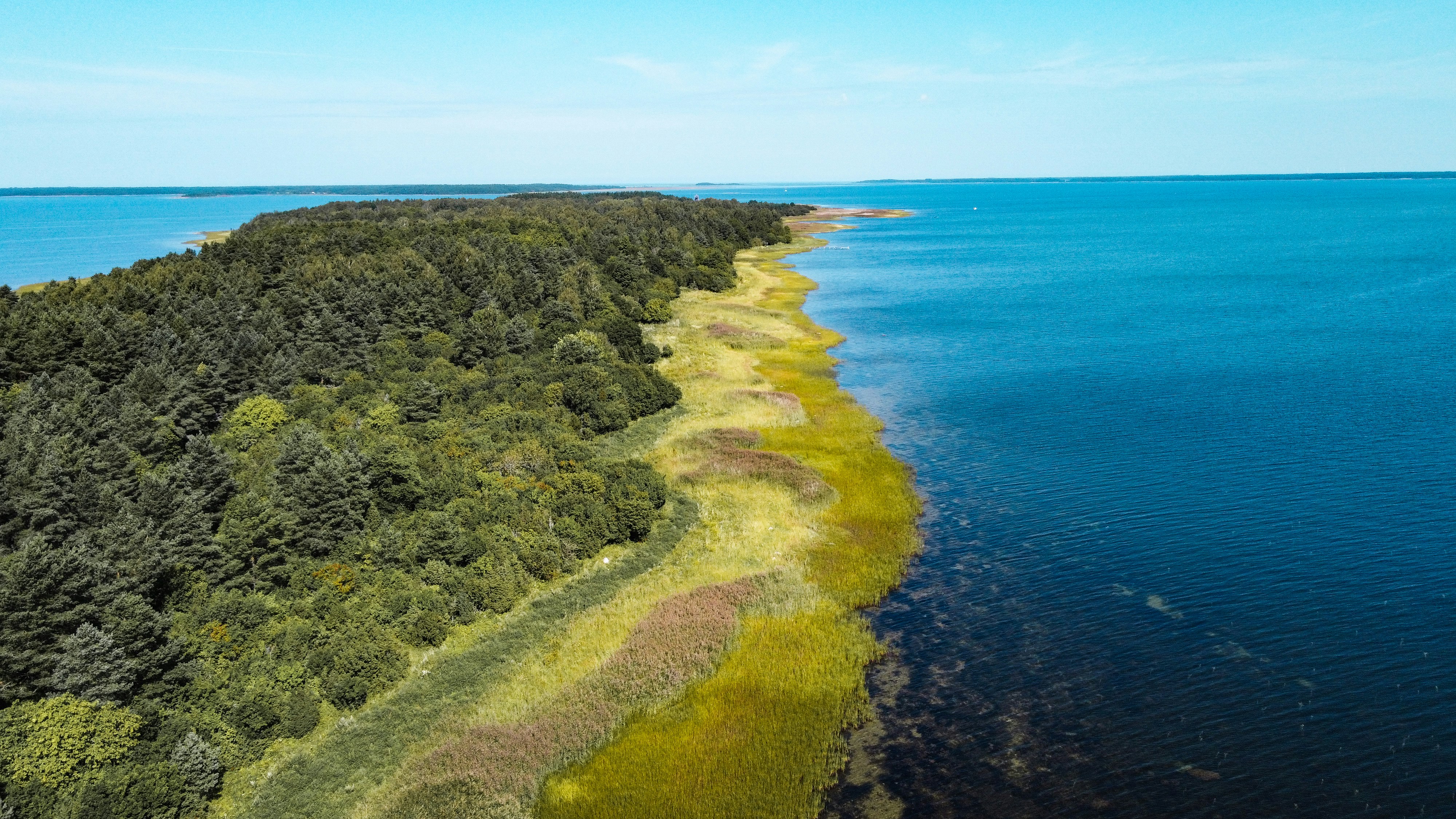 A drone shot of the Island Hobulaid in Estonia! What a stunning landscape!