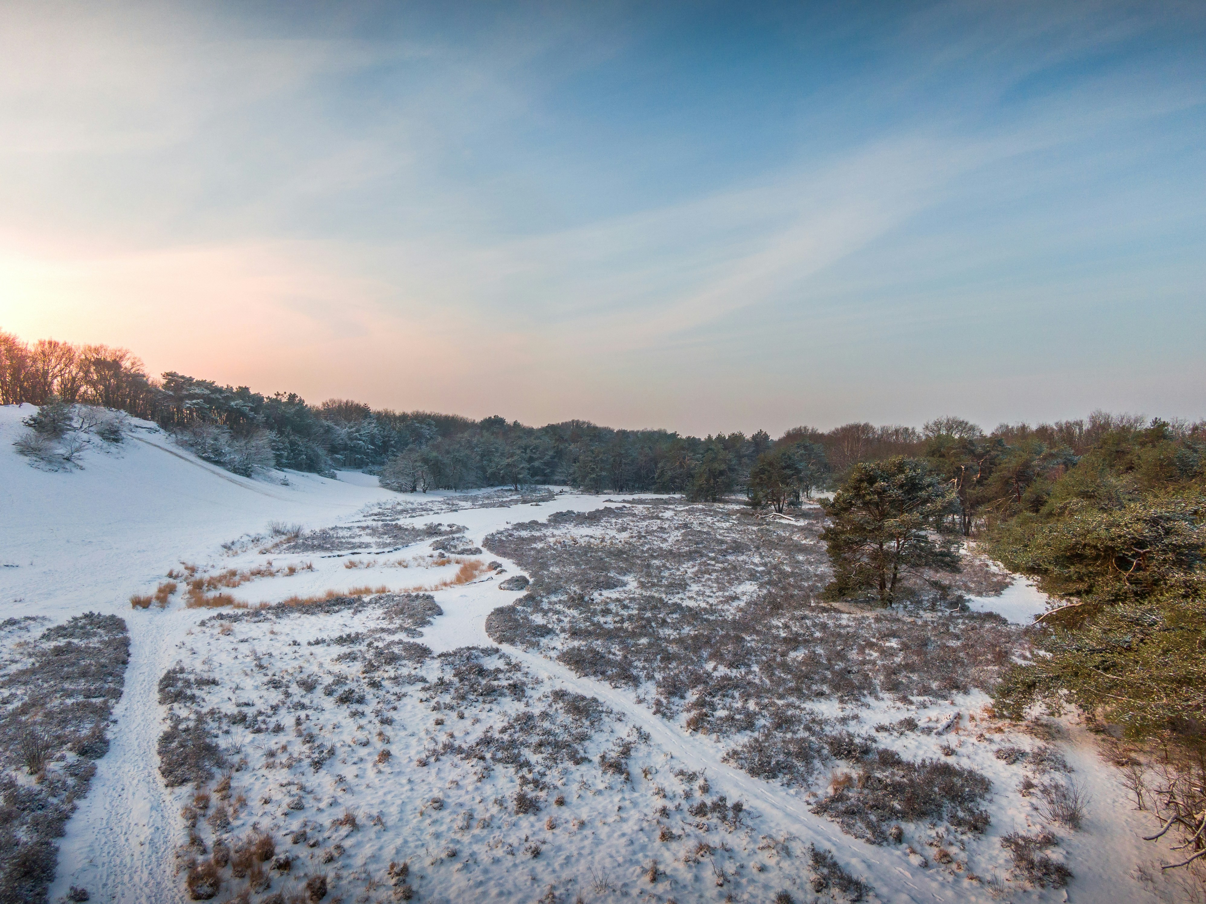 Dawn on the Frosted Moor: Winding Tracks Through Winter Light