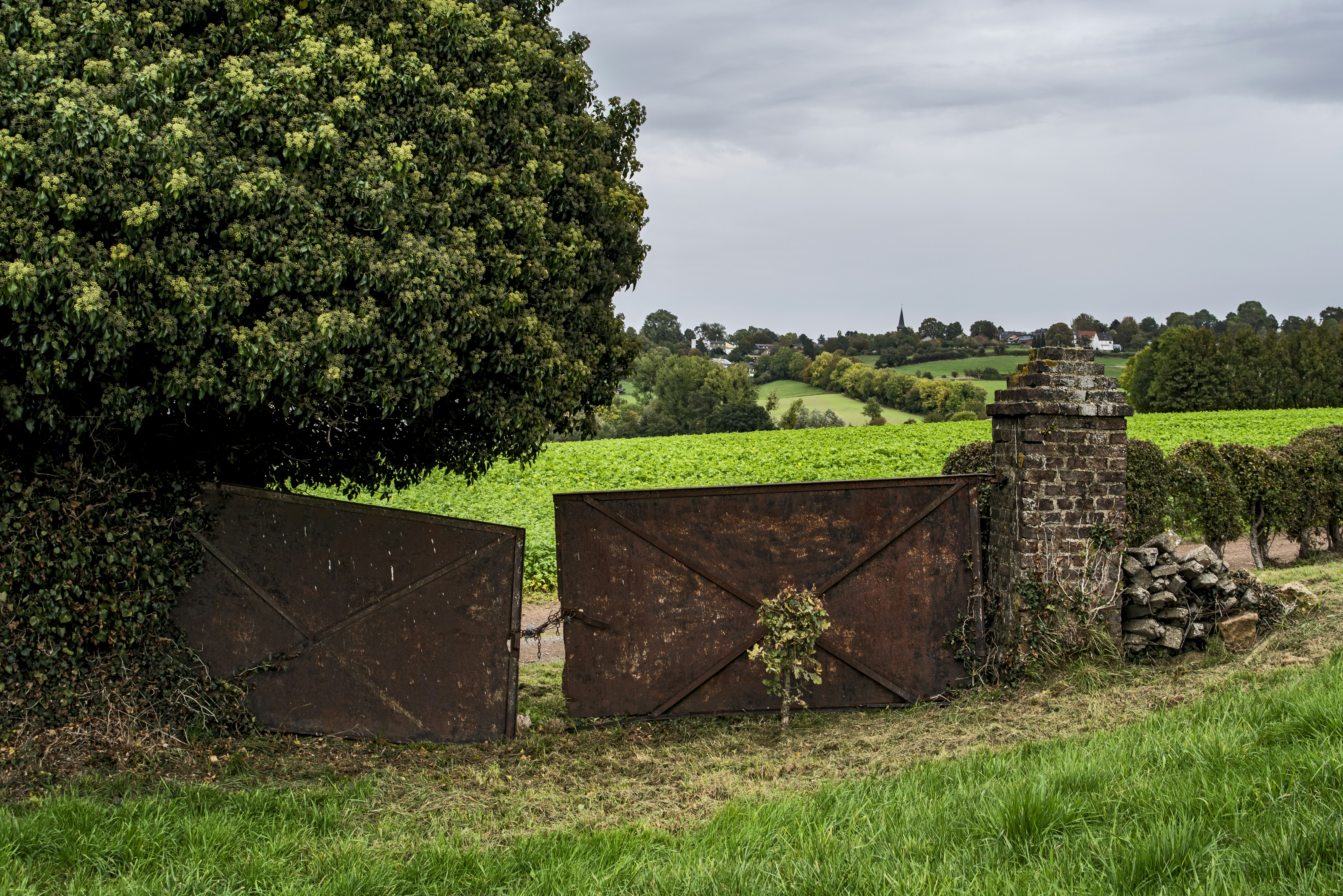Rusted Gatekeeper of the English Countryside