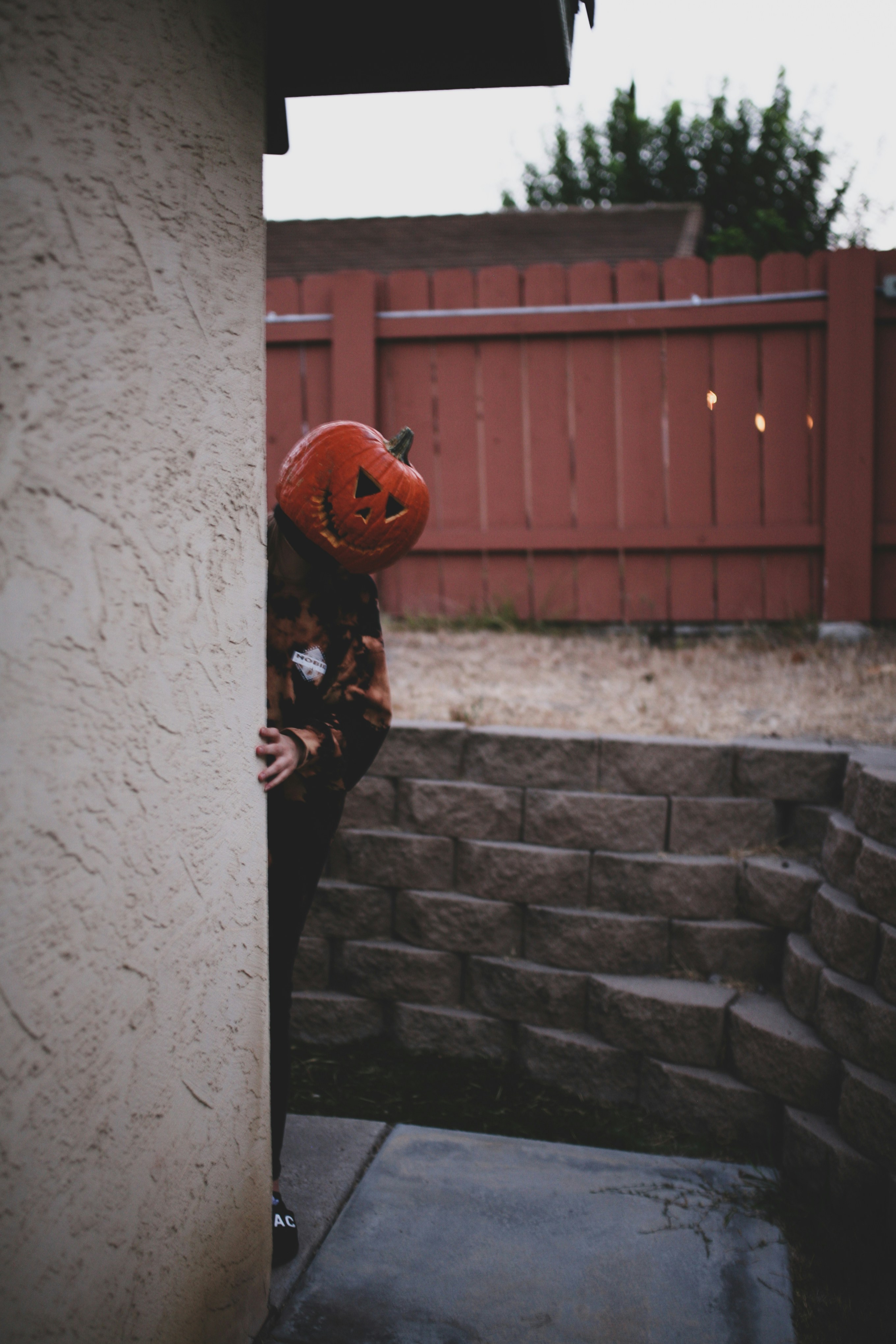 Hidden Jack-O'-Lantern: A Shy Visitor Peeks from Behind the Wall