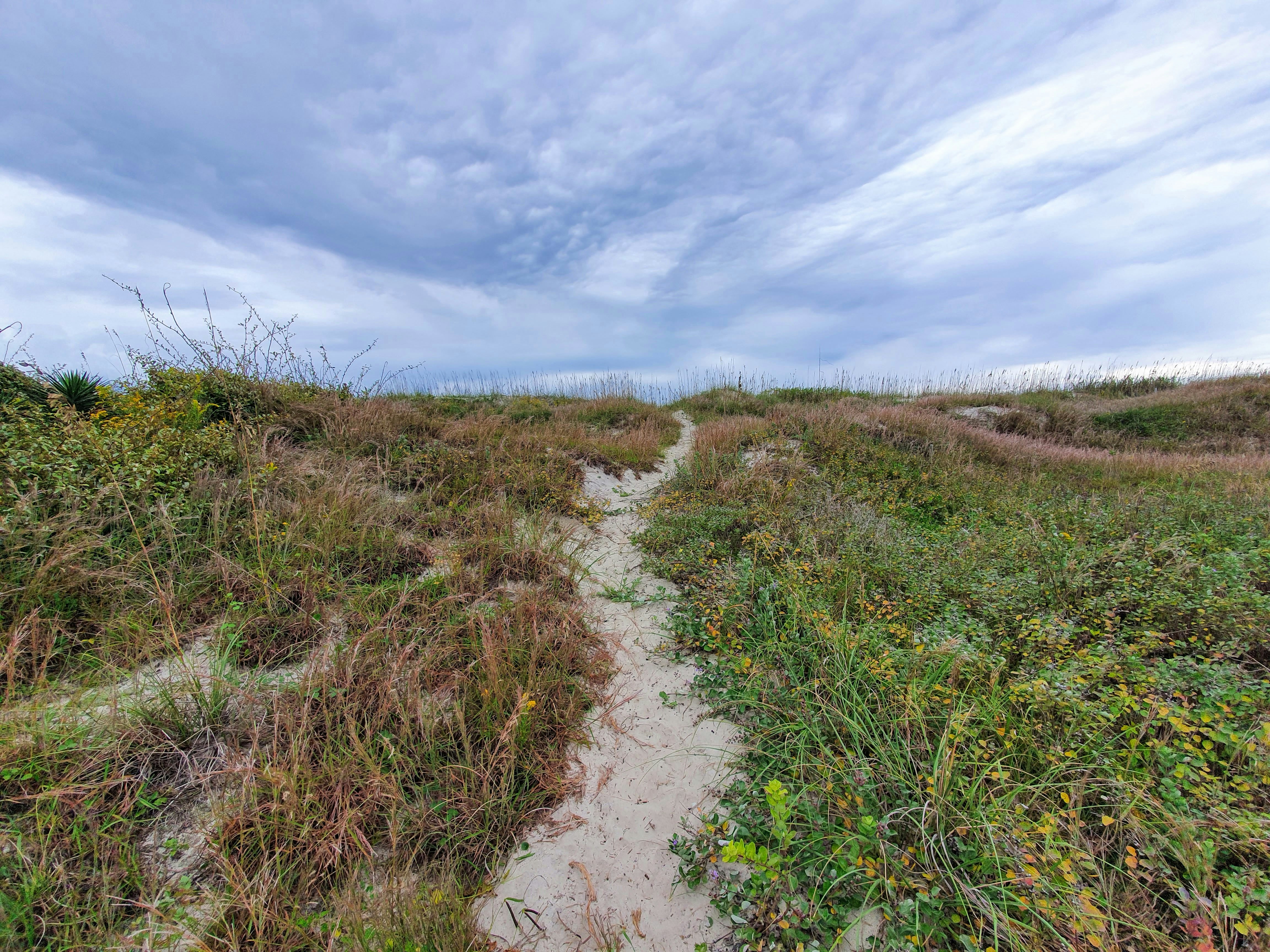 Todd Finley (@finleyt) | Unsplash Photo Community