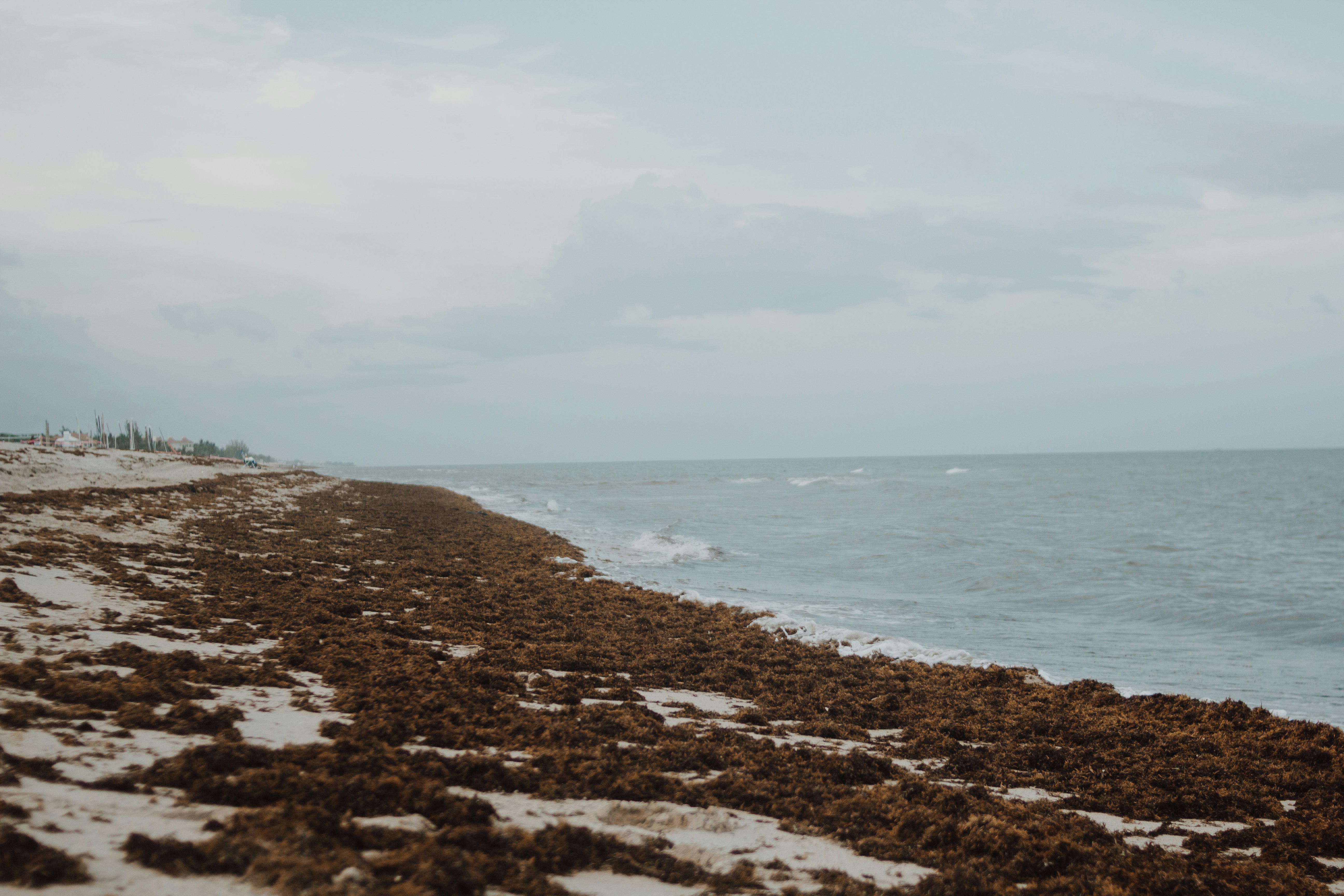 Brown rocky shore near body of water during daytime photo – Free Land ...