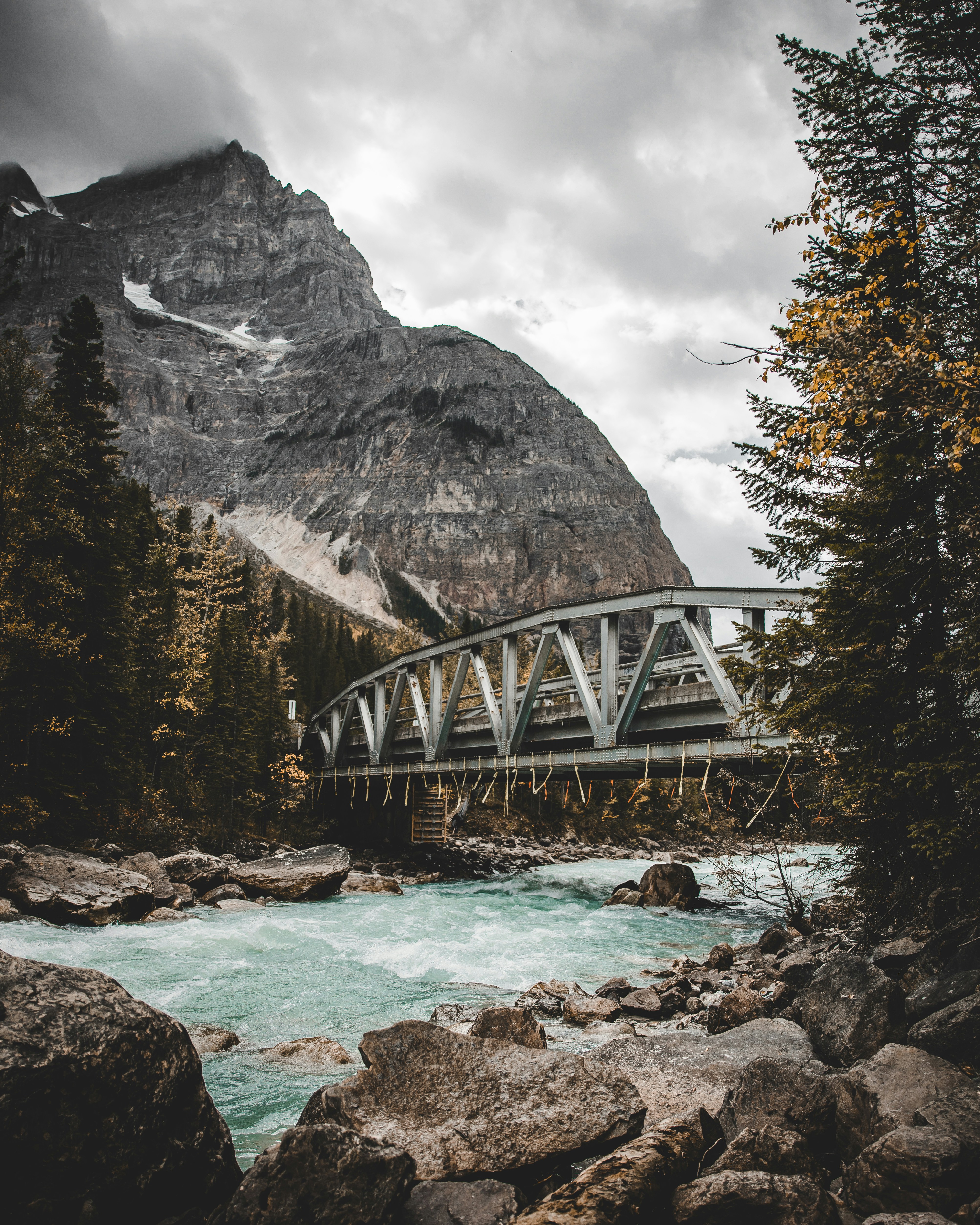 Green trees near bridge and mountain during daytime photo – Free Grey ...