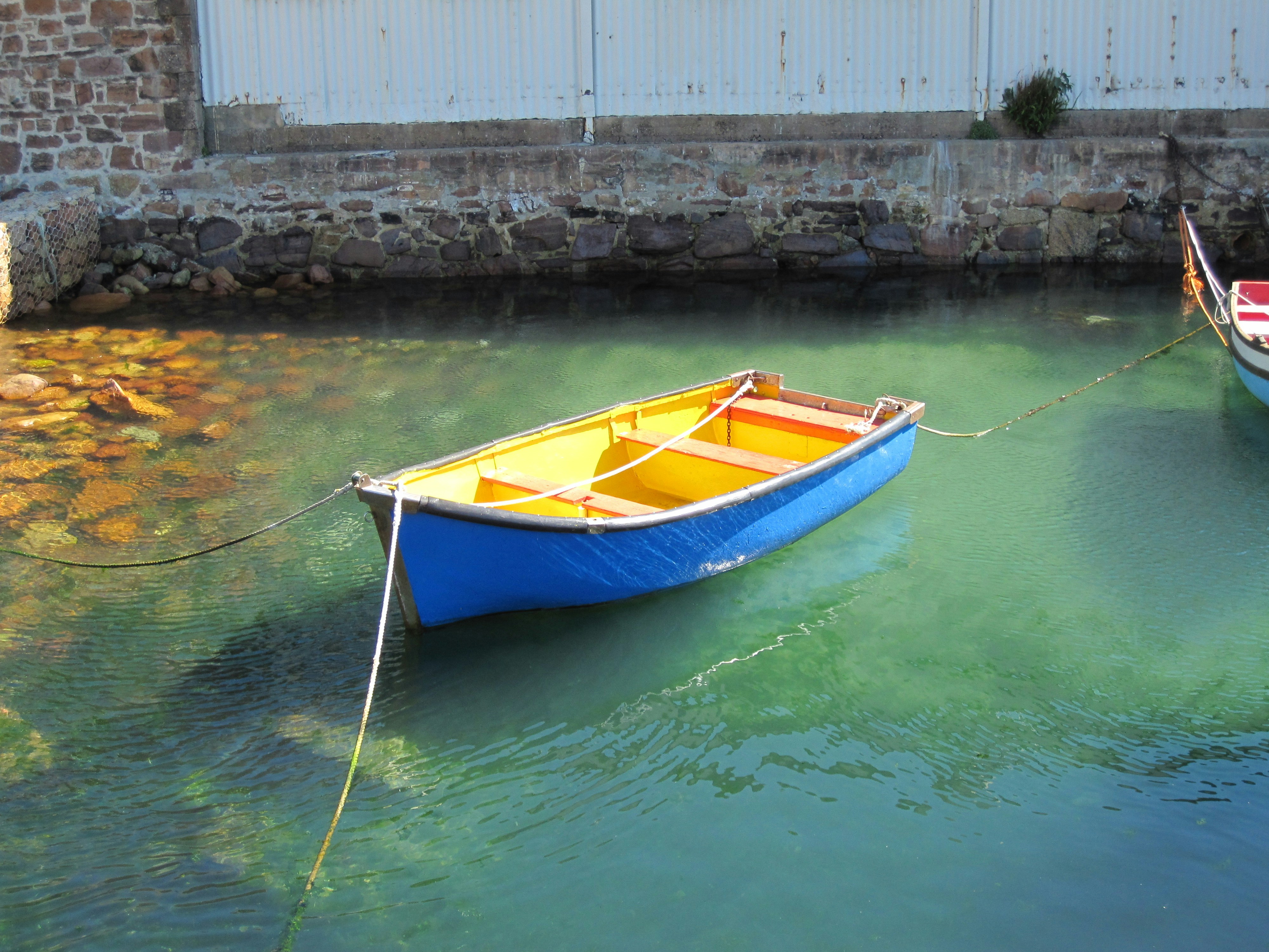 Foto Barco azul y amarillo en el agua – Imagen Bote gratis en Unsplash