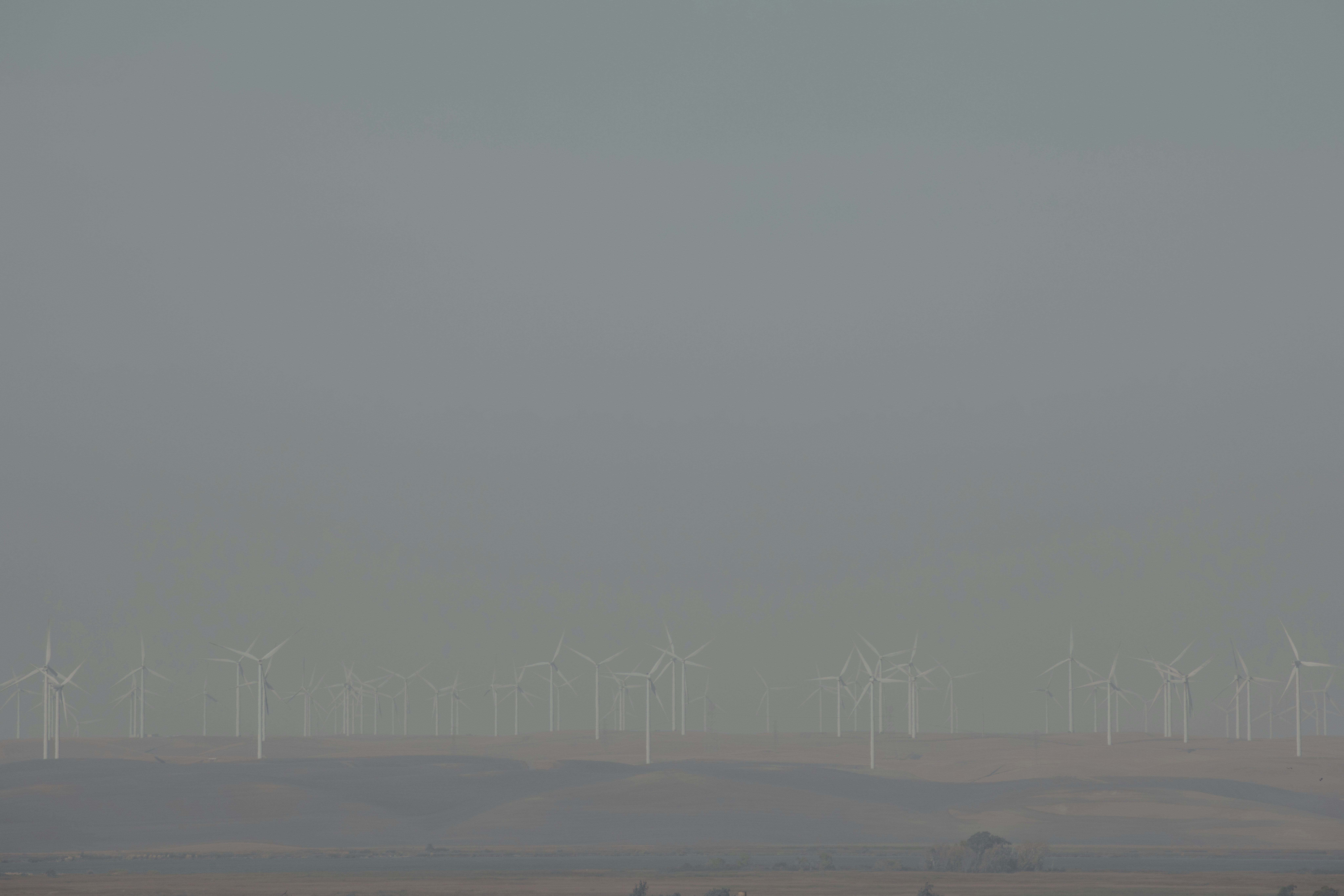 A serene landscape showcasing a row of wind turbines silhouetted against a hazy sky, emphasizing renewable energy's presence in the countryside.