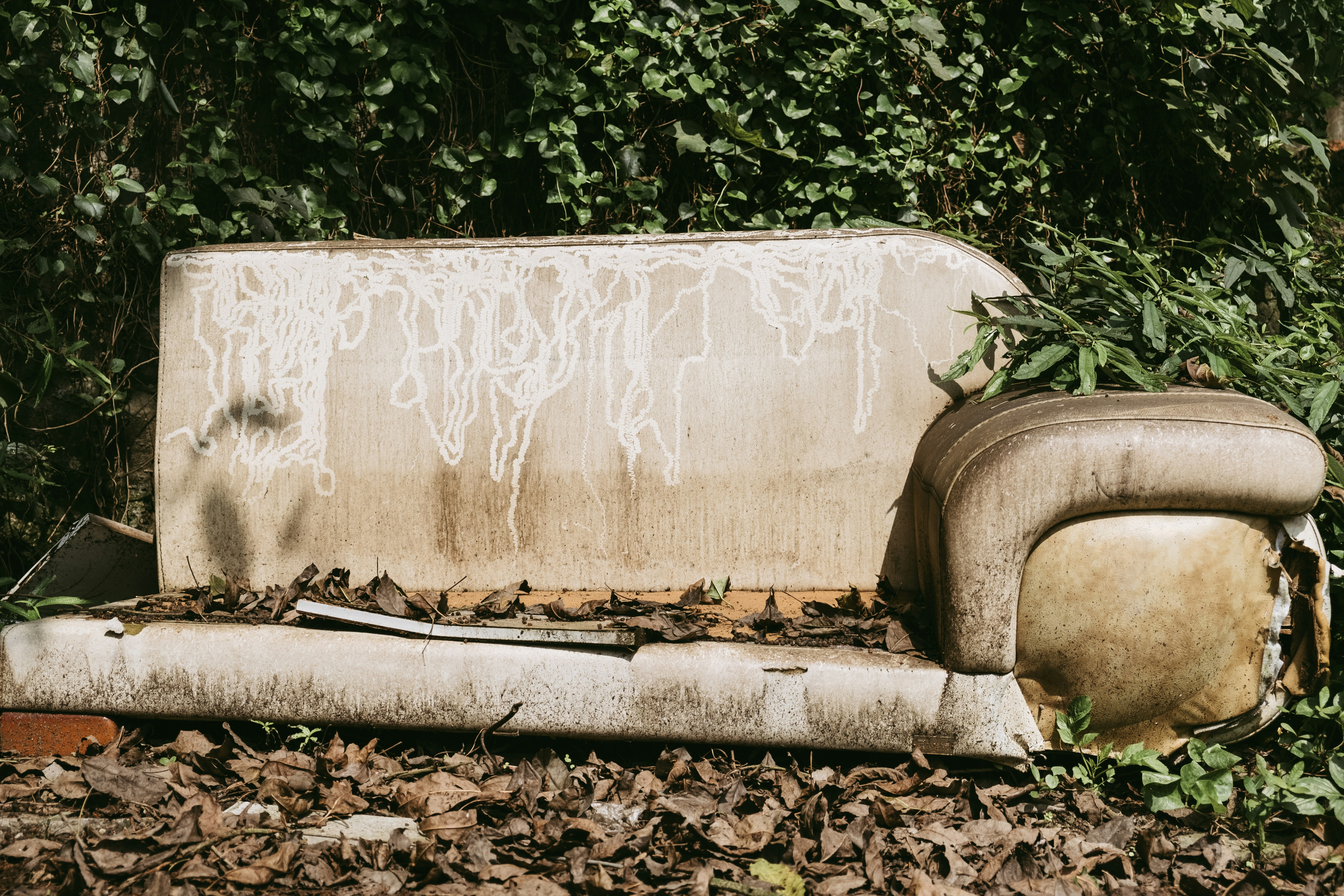 Overgrown Recluse: A Crumbling Sofa Guarded by Leaves
