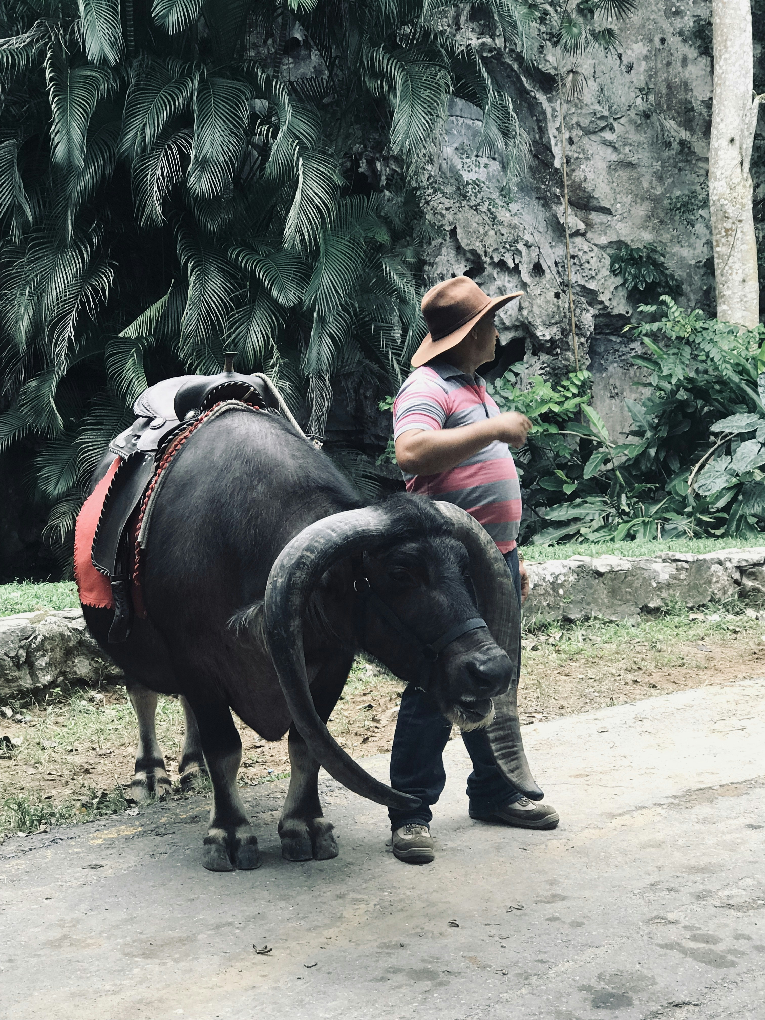 Maria Zappala (@mzapp) | Unsplash Photo Community