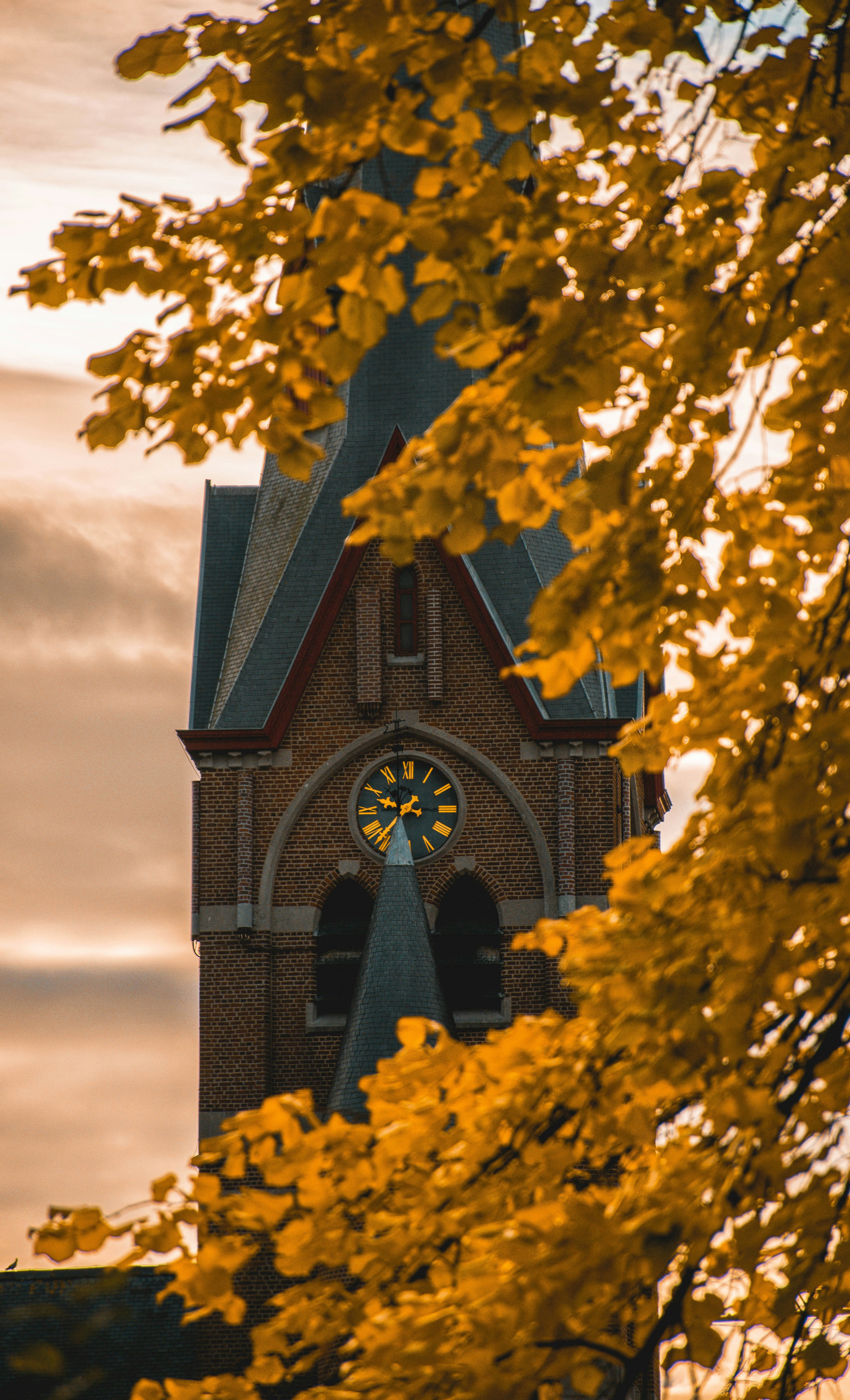 Amber Framing: A Clocktower Emerges Through Autumn Veil