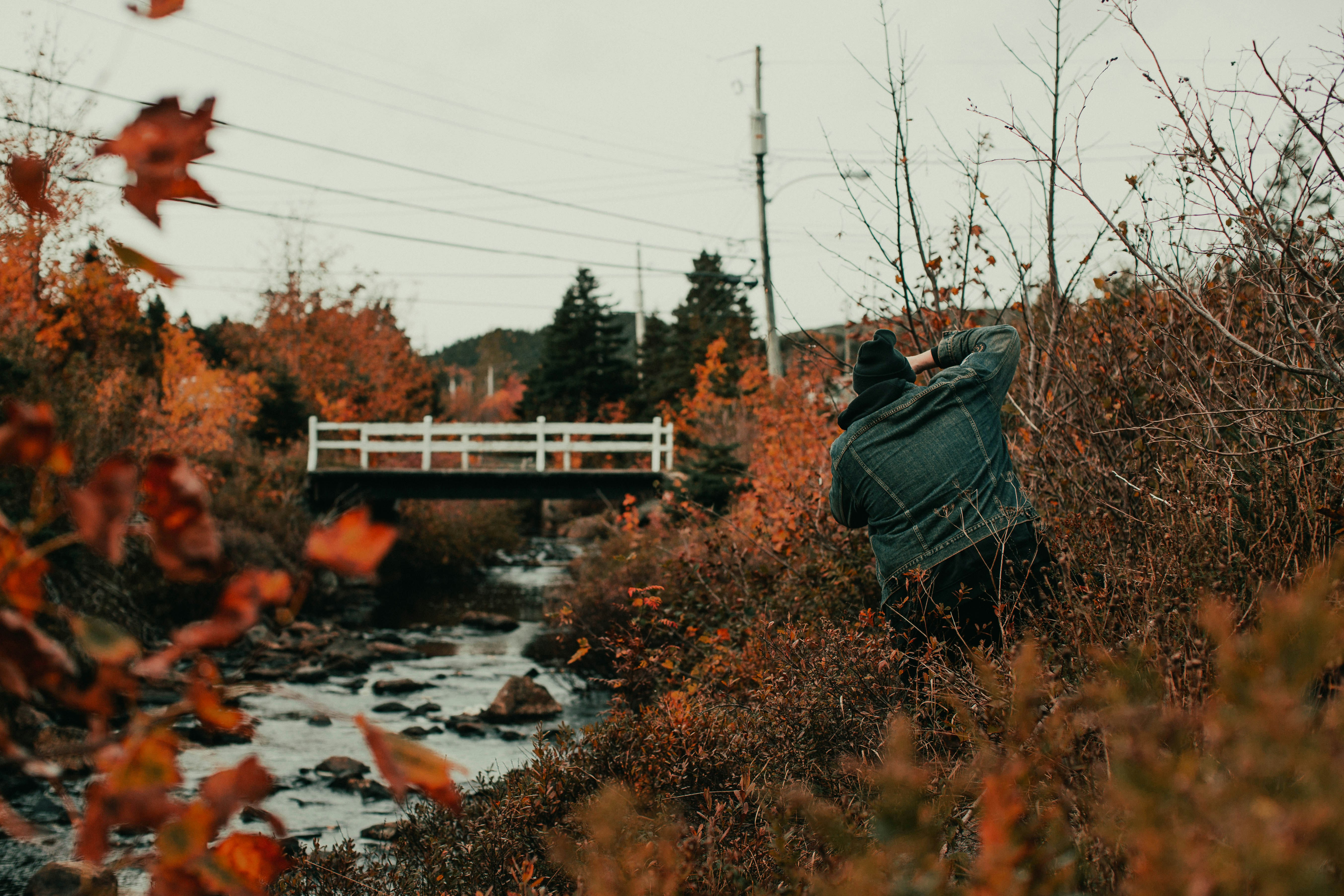 Autumn Focus by the River: A Photographer Framing Light Amid Orange Foliage and a White-Rail Bridge